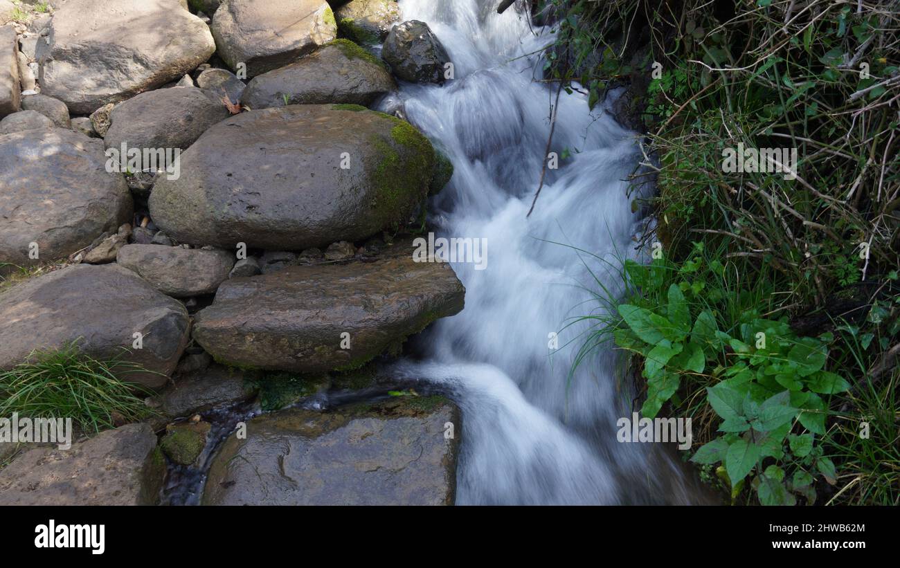 Tel dan nature reserve israel hi-res stock photography and images - Alamy