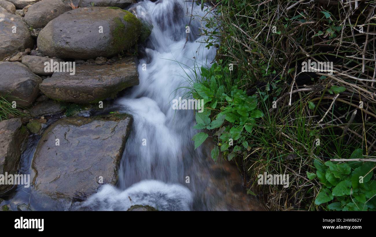 Tel dan nature reserve israel hi-res stock photography and images - Alamy