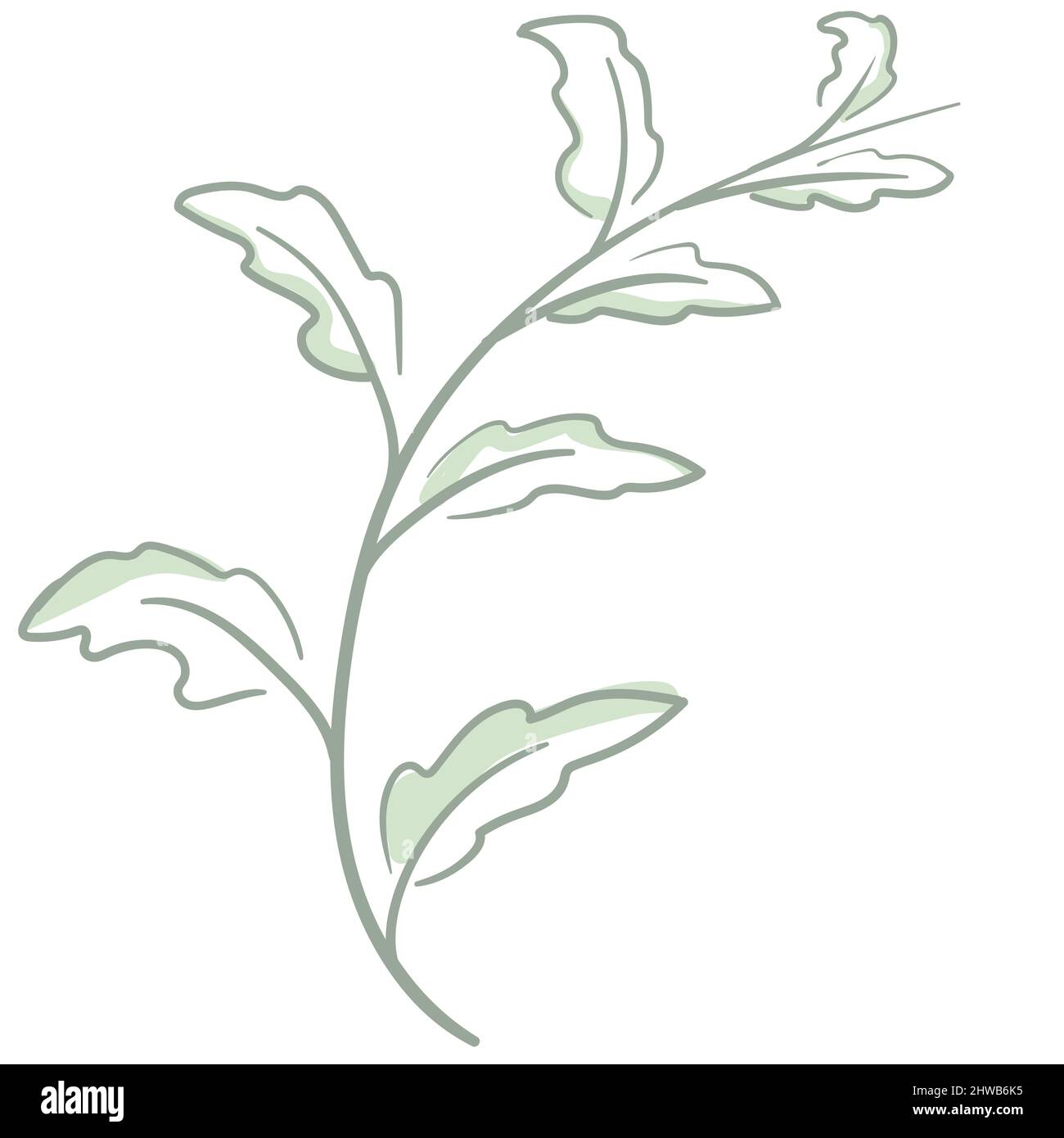 Color grid lines bright Cut Out Stock Images & Pictures - Alamy