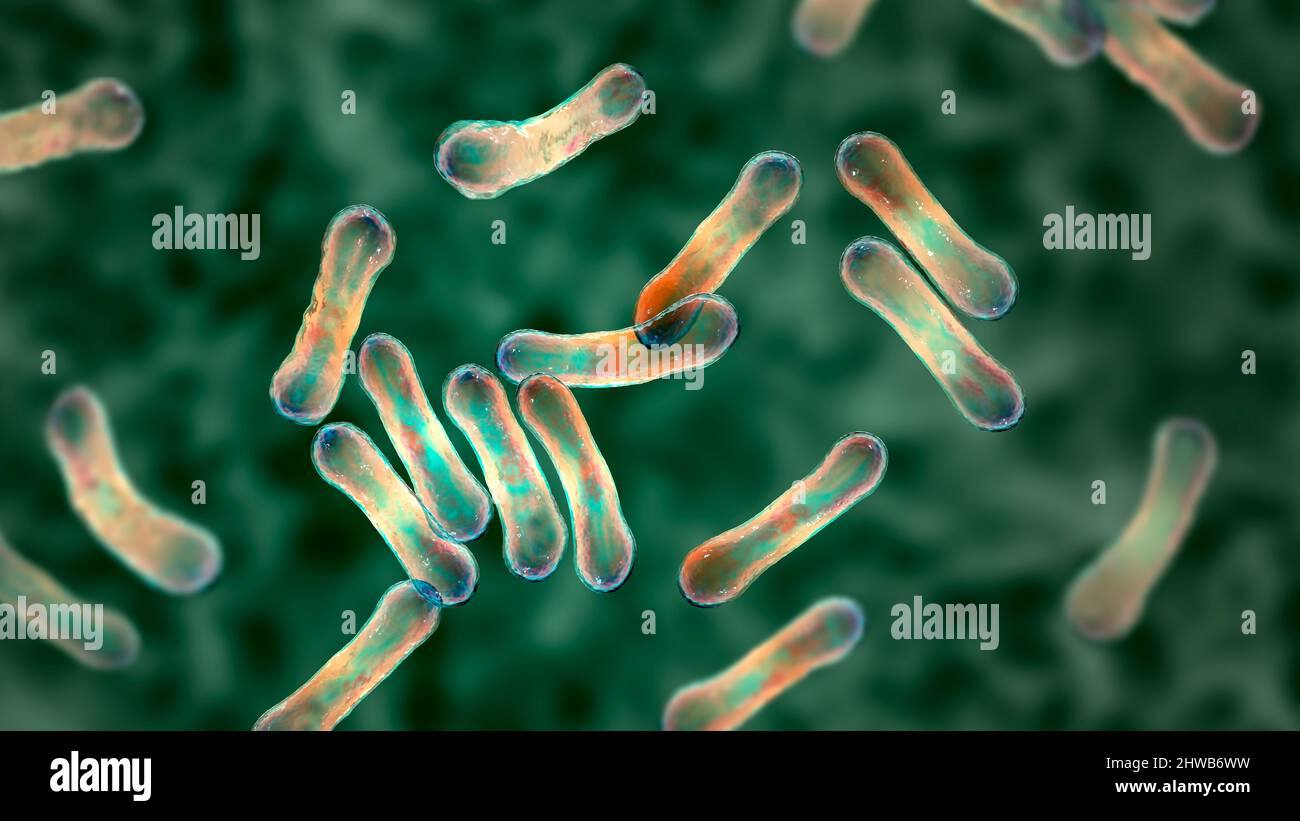 Corynebacterium High Resolution Stock Photography and Images - Alamy