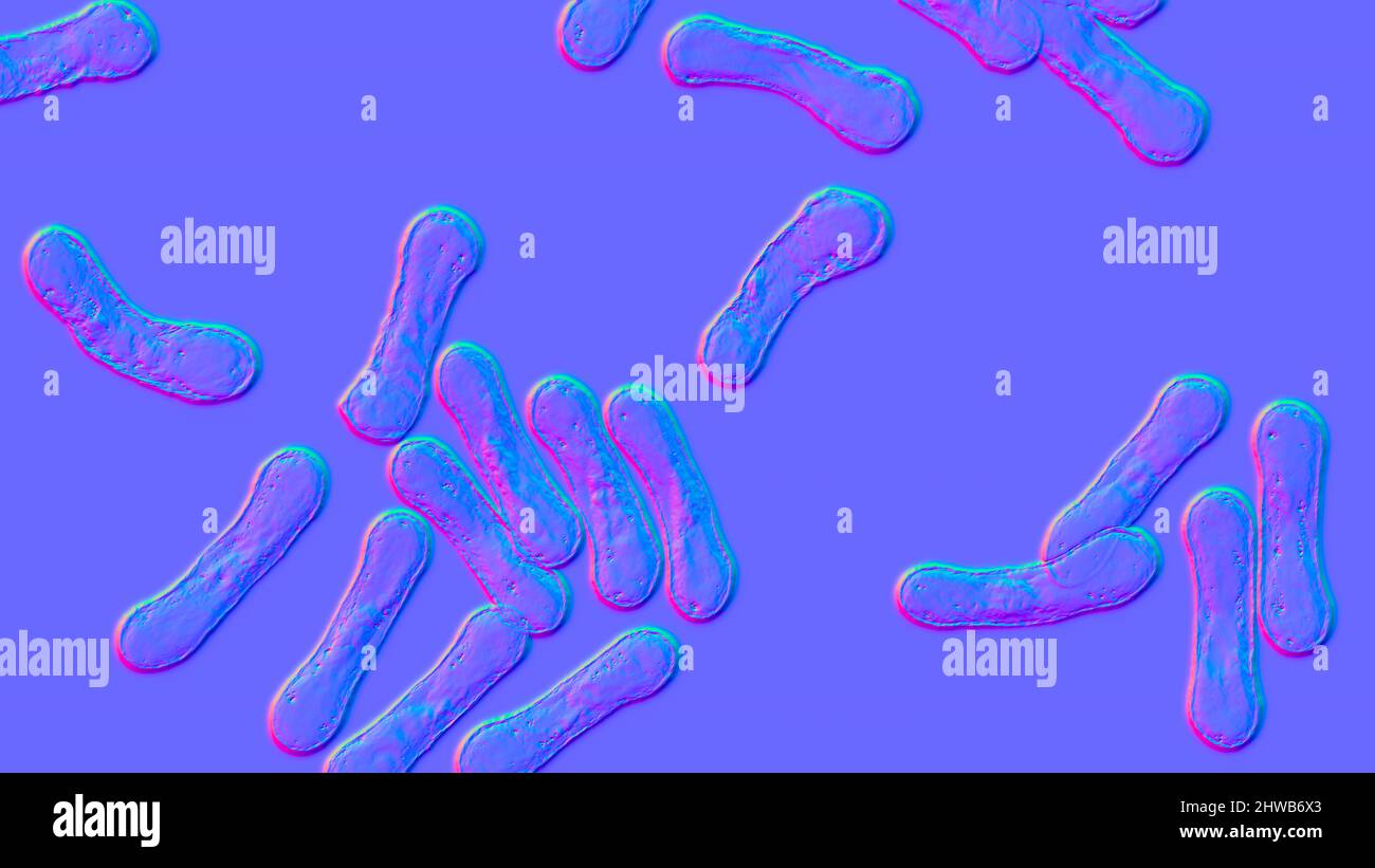 Corynebacterium diphtheriae, illustration Stock Photo - Alamy