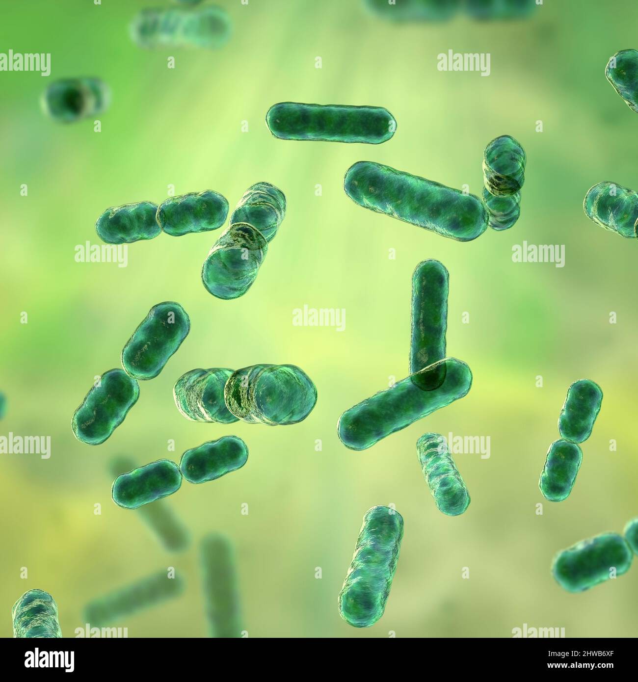 Skin abscess hi-res stock photography and images - Alamy