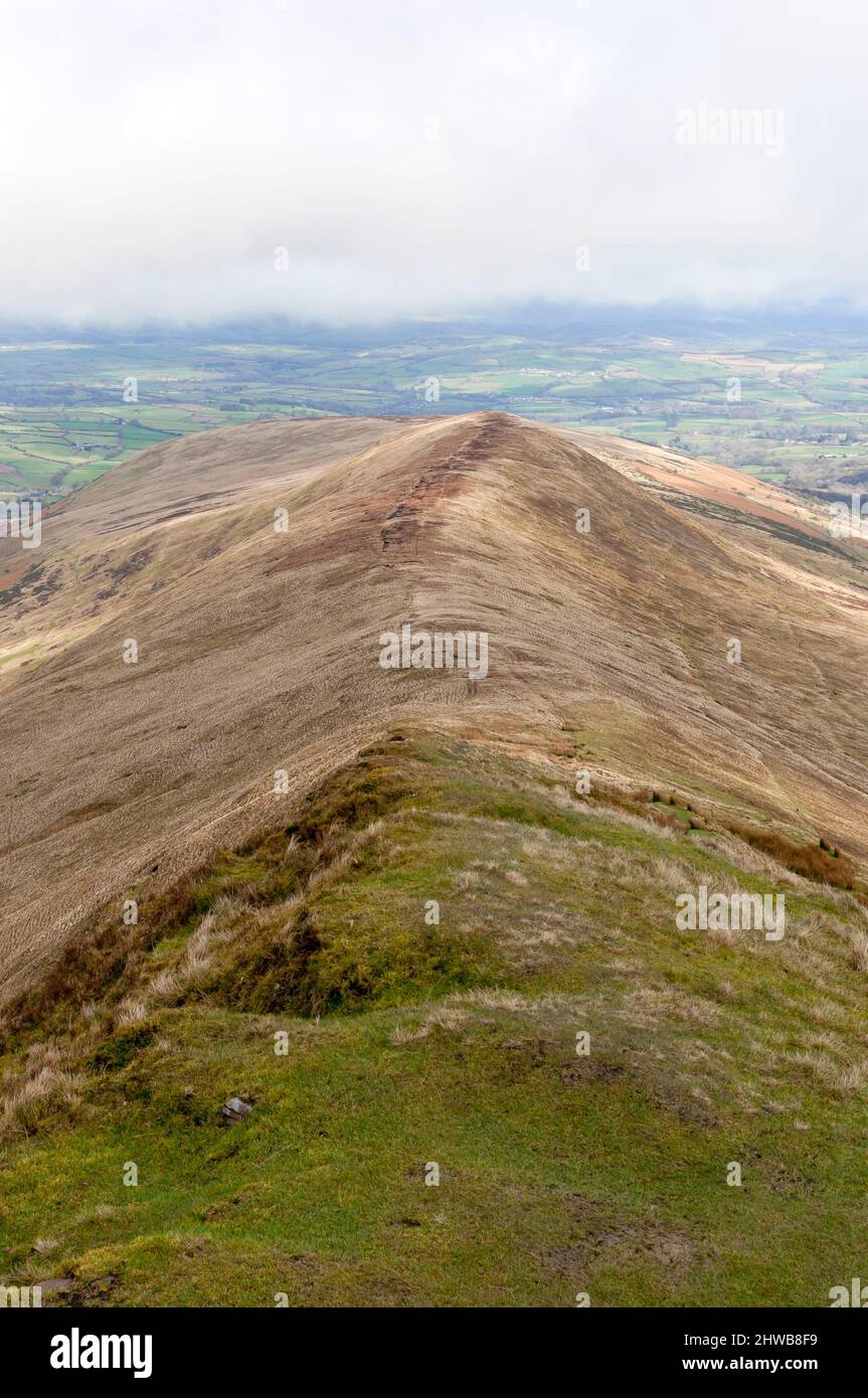 Fan y big view hi-res stock photography and images - Alamy