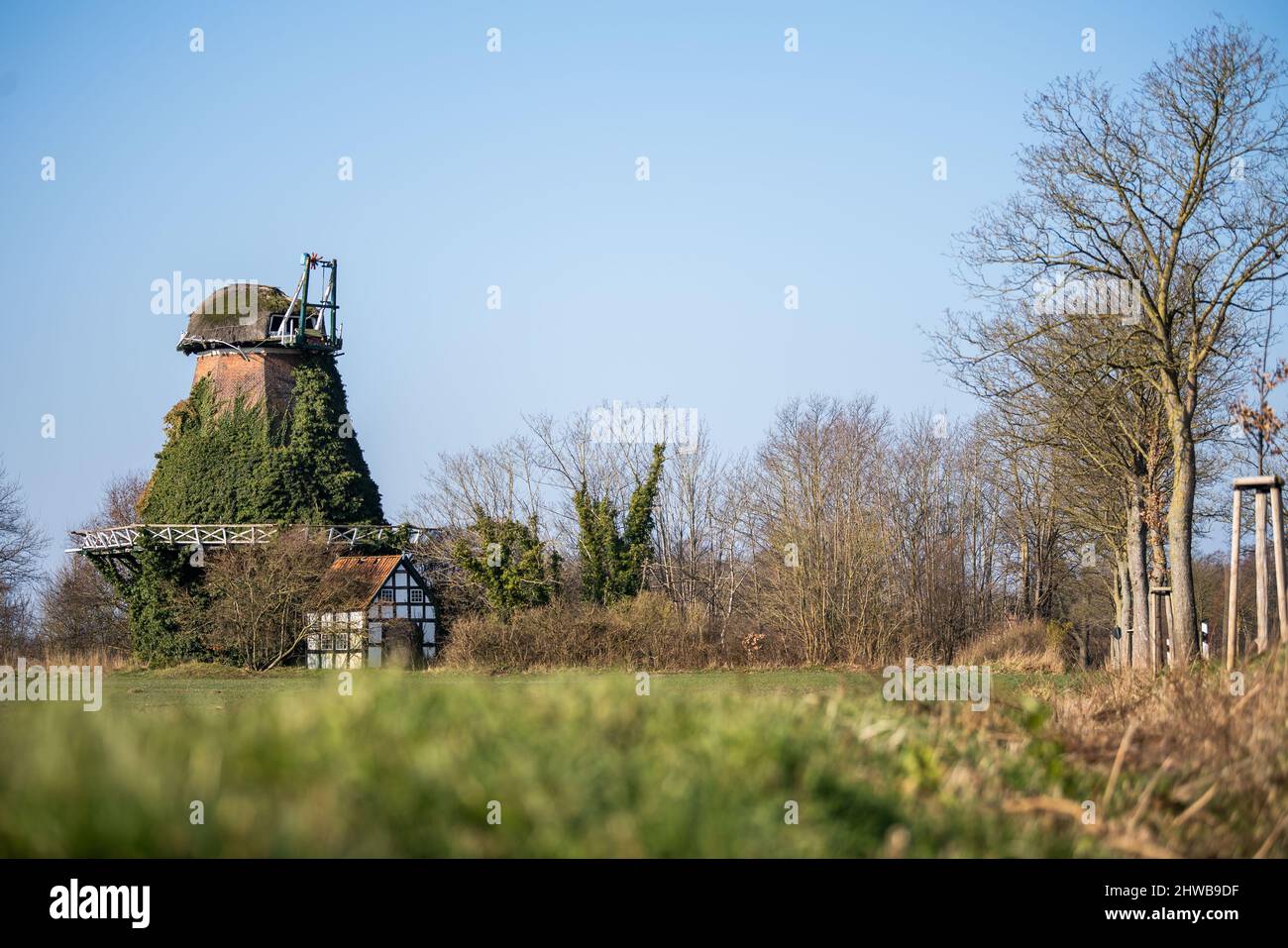 Barver, Germany. 05th Mar, 2022. A completely overgrown, abandoned ...