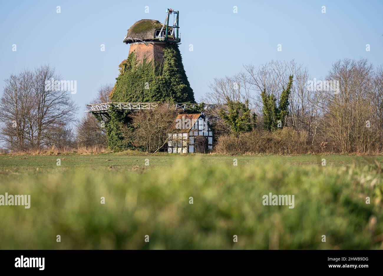 Barver, Germany. 05th Mar, 2022. A completely overgrown, abandoned ...
