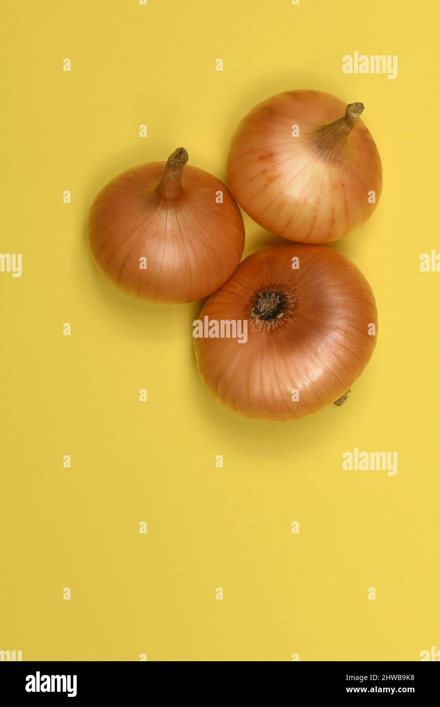 Yellow onion bulbs on yellow background. High resolution photo. Full ...