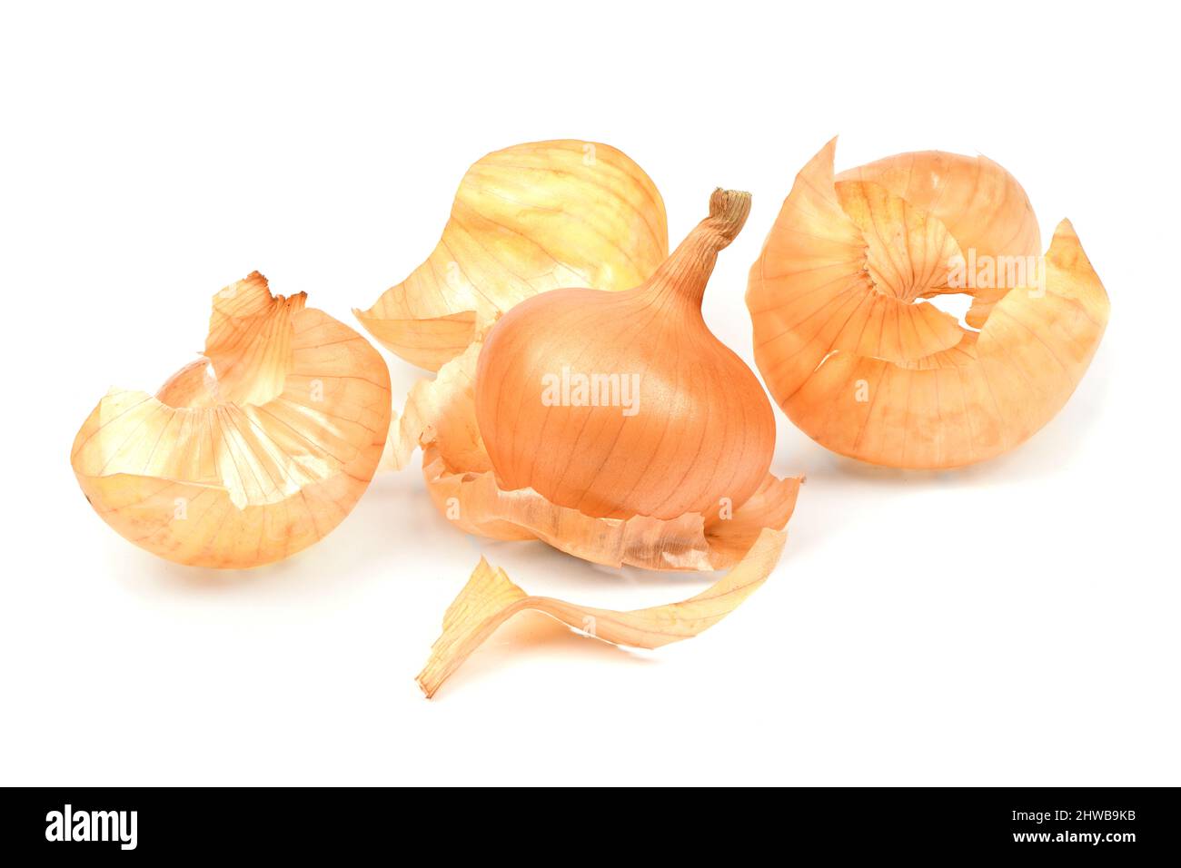 Yellow onion bulbs on white background. High resolution photo. Full ...
