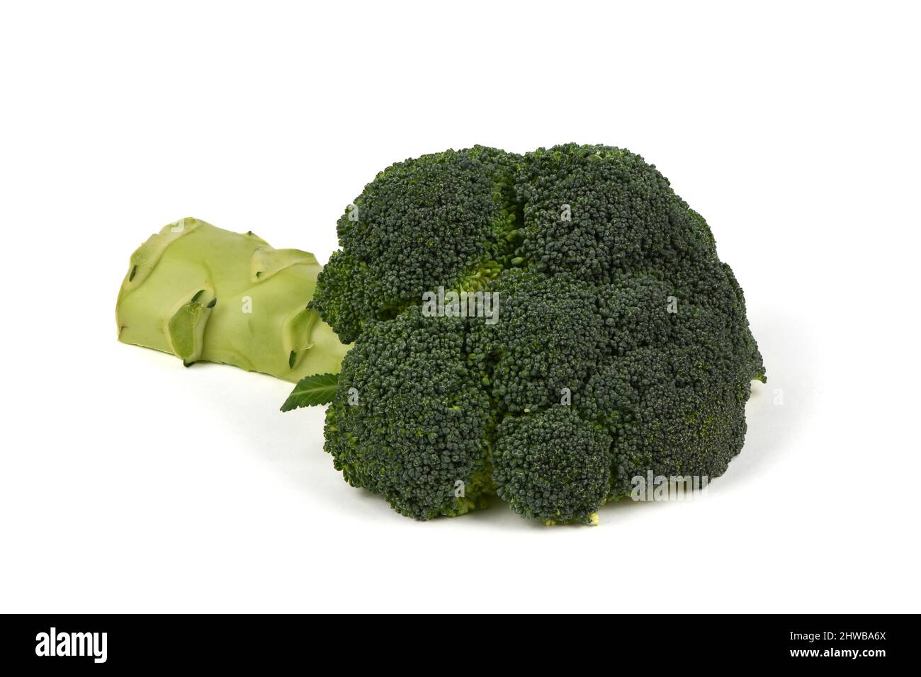 Broccoli isolated on white background. High resolution photo. Full ...