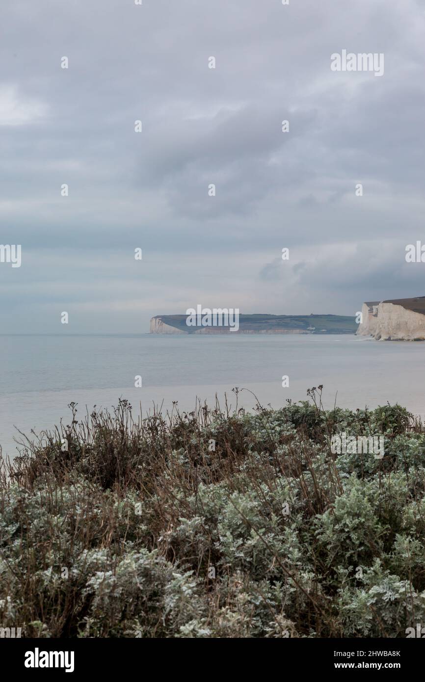 Looking out at the Seven Sisters Cliffs on the Sussex coast, on a ...