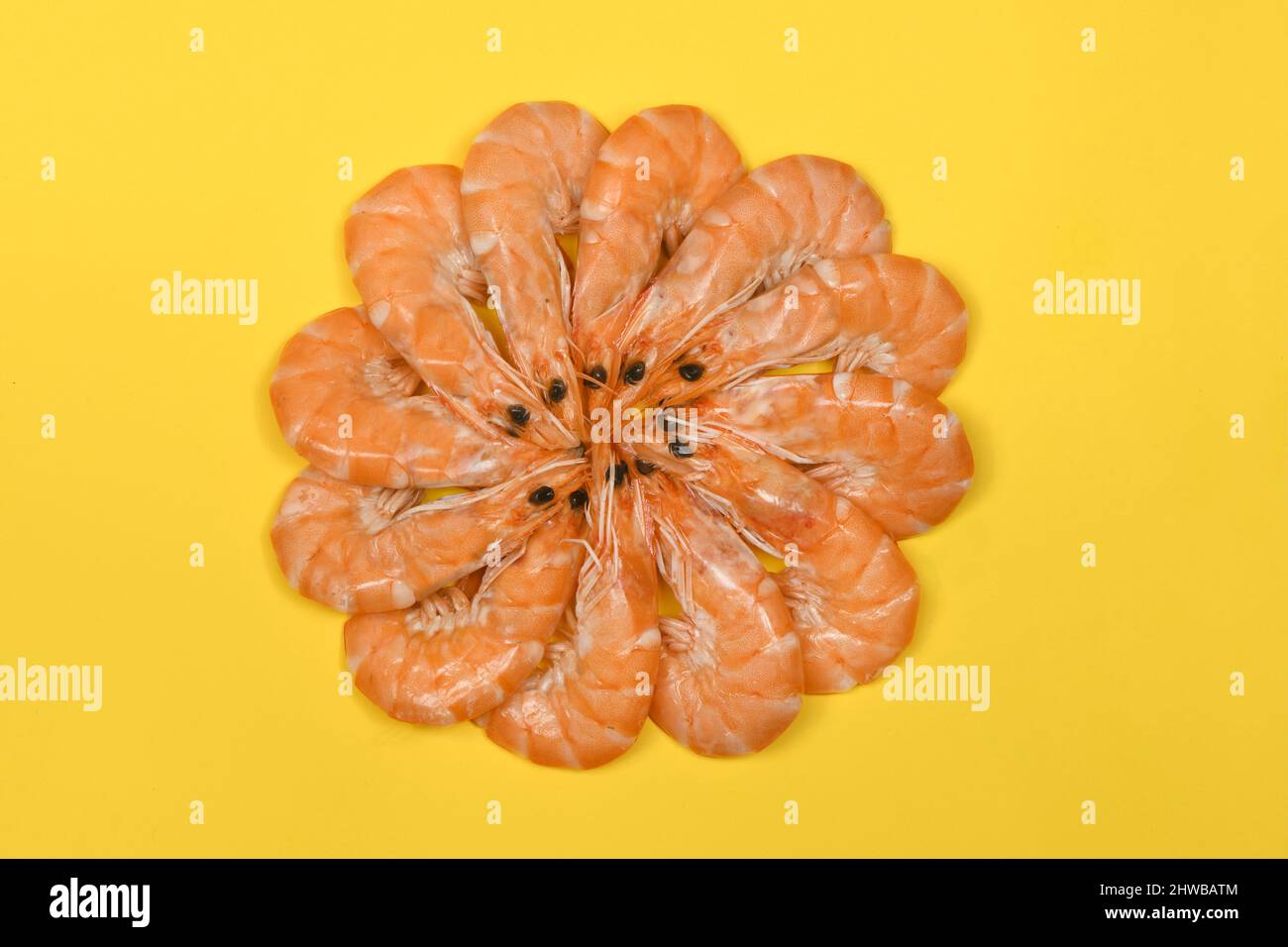 Perfectly retouched shrimp isolated on yellow. High resolution photo ...