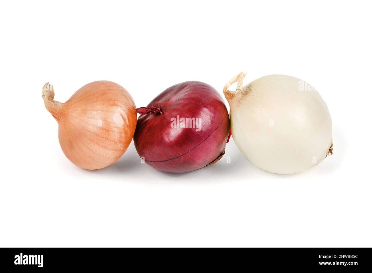 Three onion bulbs of different colors (red, yellow and white) isolated ...