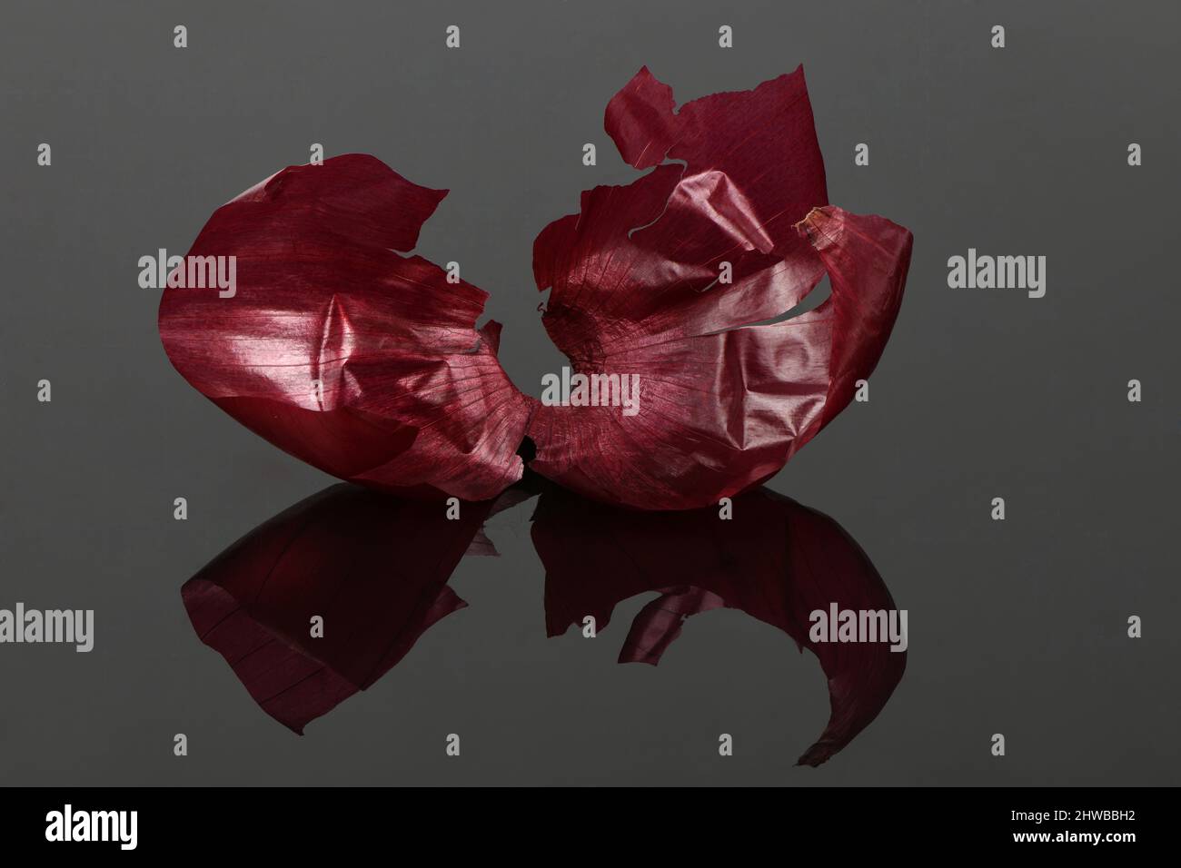 Onion peel on black acrylic background. Red onion peel. High resolution ...