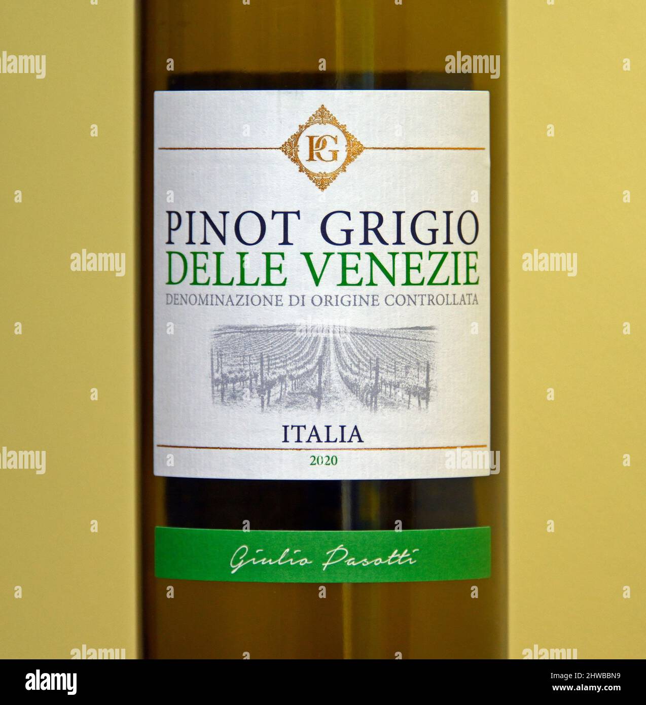 Wine label. Pinot Grigio. Delle Venezie. Italia. 2020. Giulia Pasotti ...