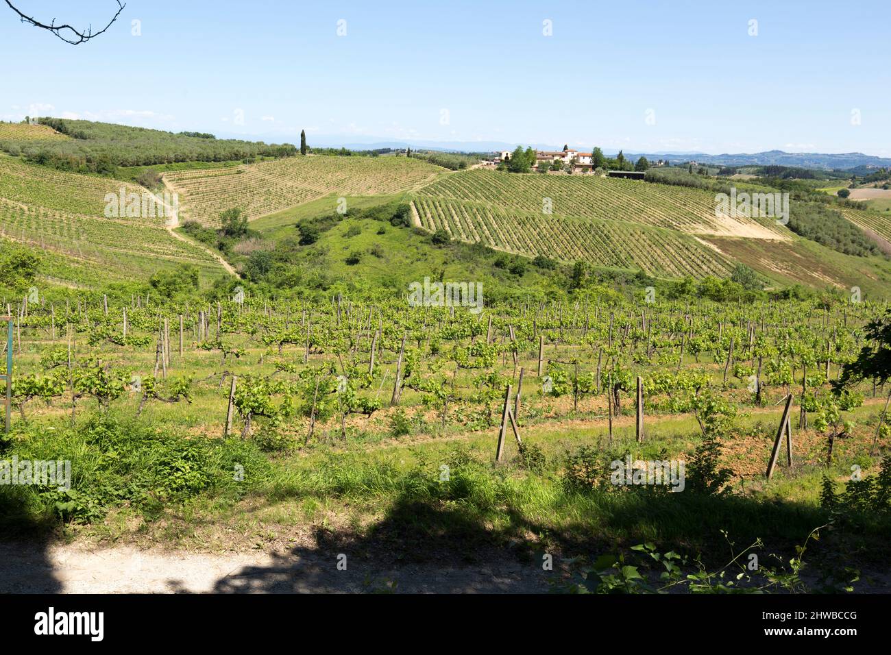 View of rural landscape in Tuscany, Italy Stock Photo - Alamy