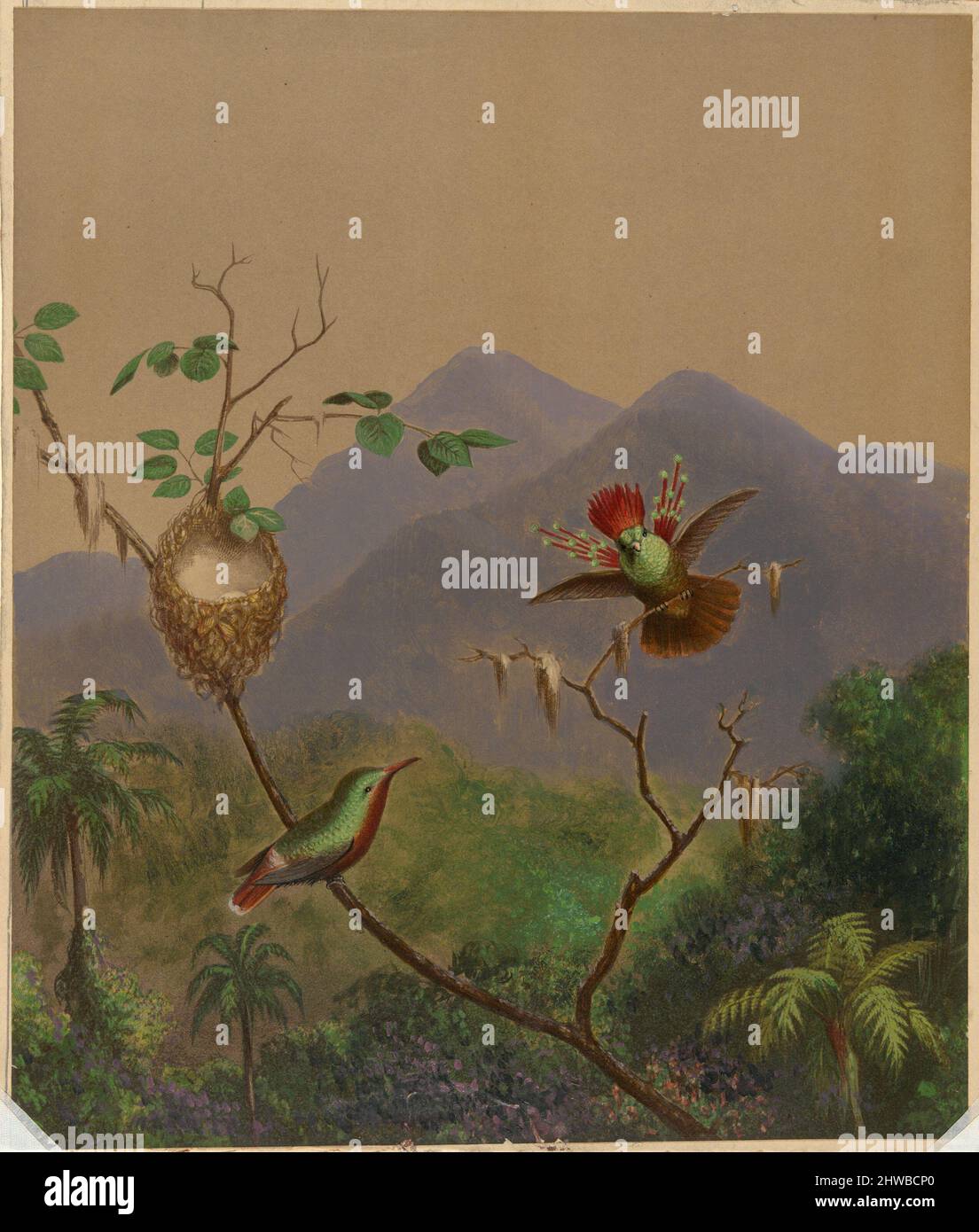 Brazilian Hummingbirds III. Artist: Martin Johnson Heade, American ...