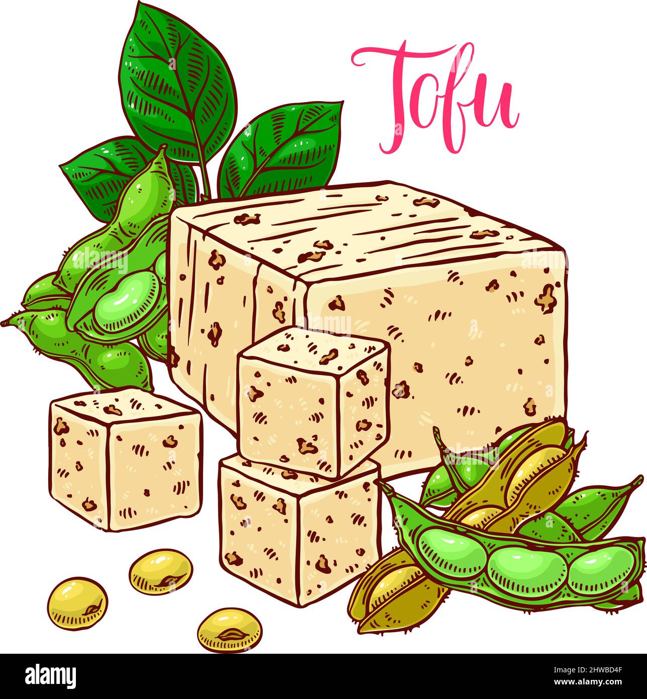 cute background of soybeans and tofu. hand-drawn illustration Stock ...