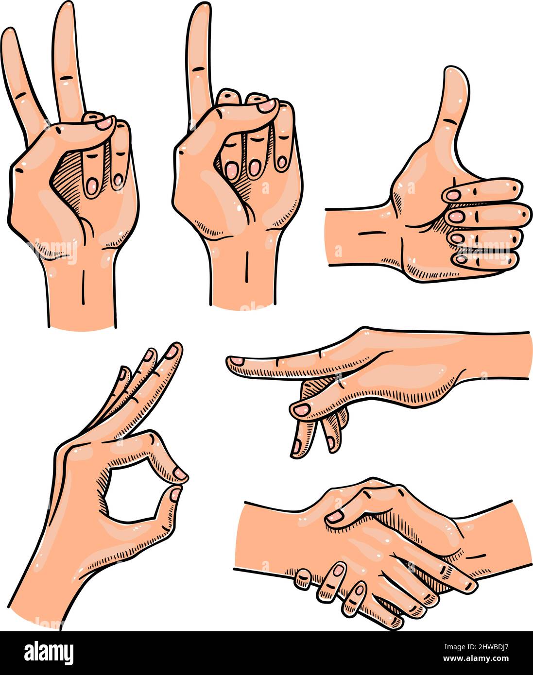 Various gestures of female hands. Isolated on a white background ...