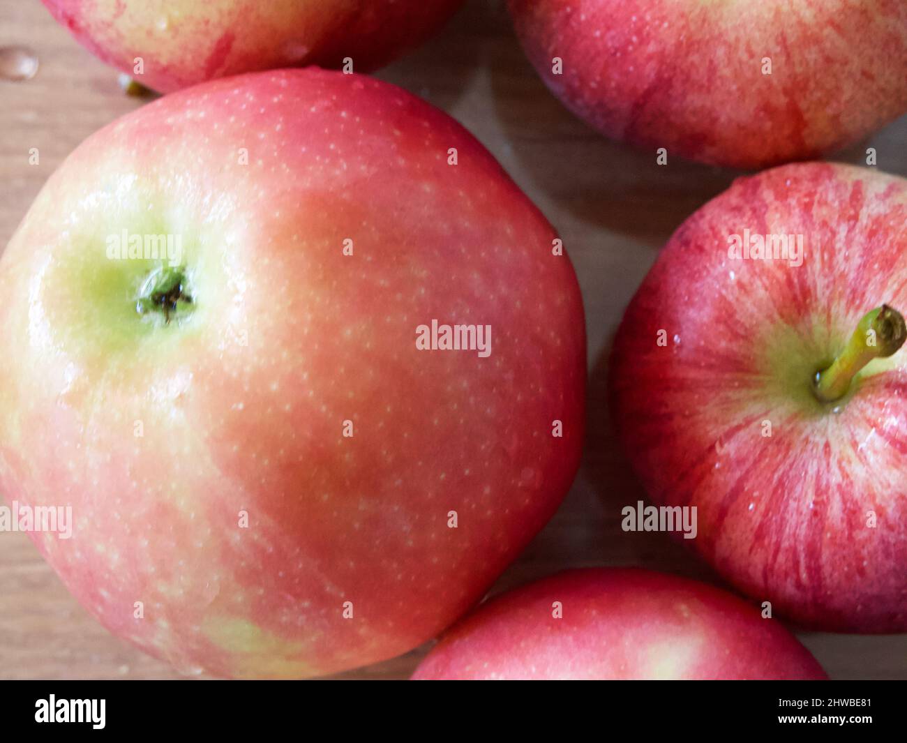 Macro photo of ripe red apples of gala and Ligol varieties. Apple close ...