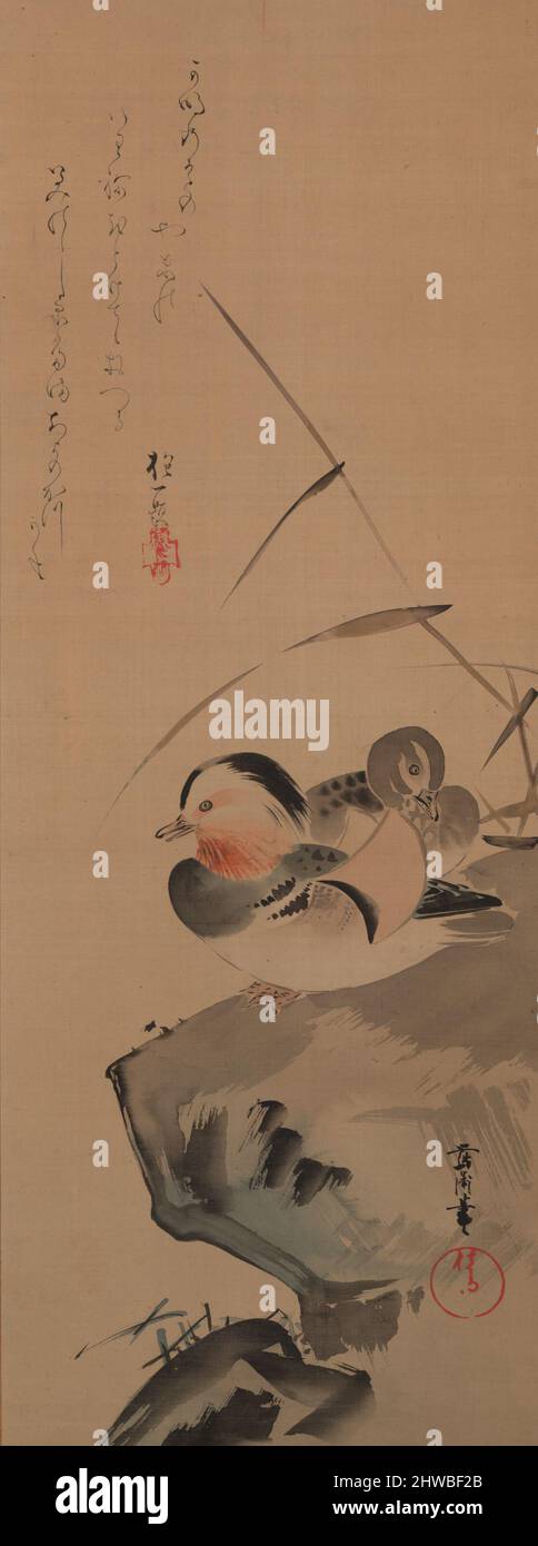 Mandarin Ducks. Artist: Sakai ?ho, Japanese, 1808–1841 Artist: Sakai H ...