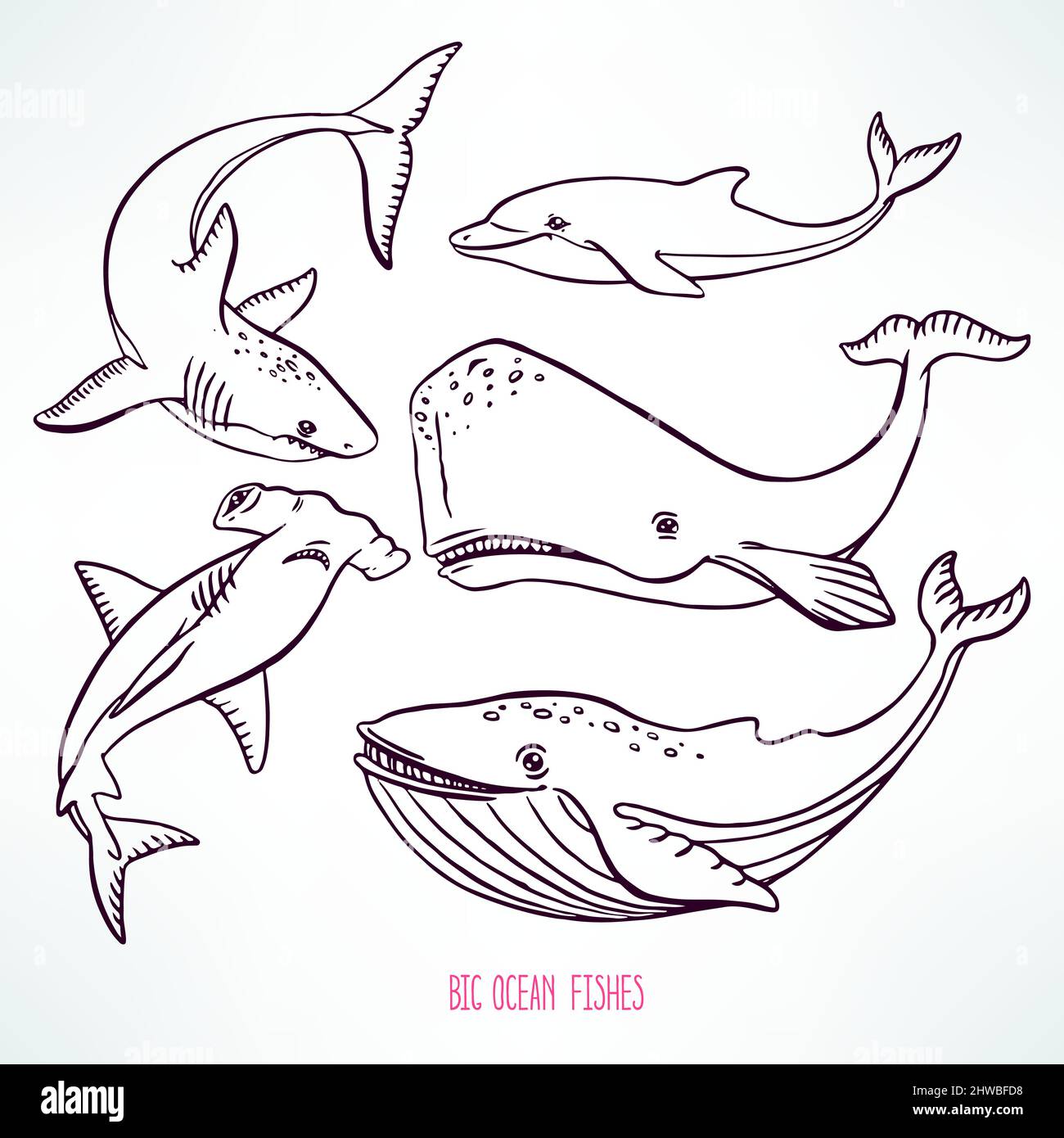 Set of large ocean creatures. hand-drawn illustration Stock Vector ...