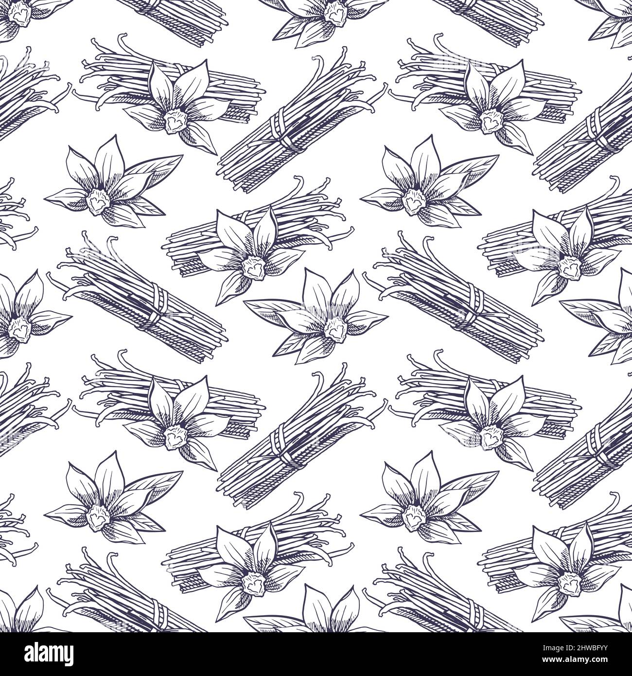 cute seamless background of hand-drawn vanilla Stock Vector Image & Art ...