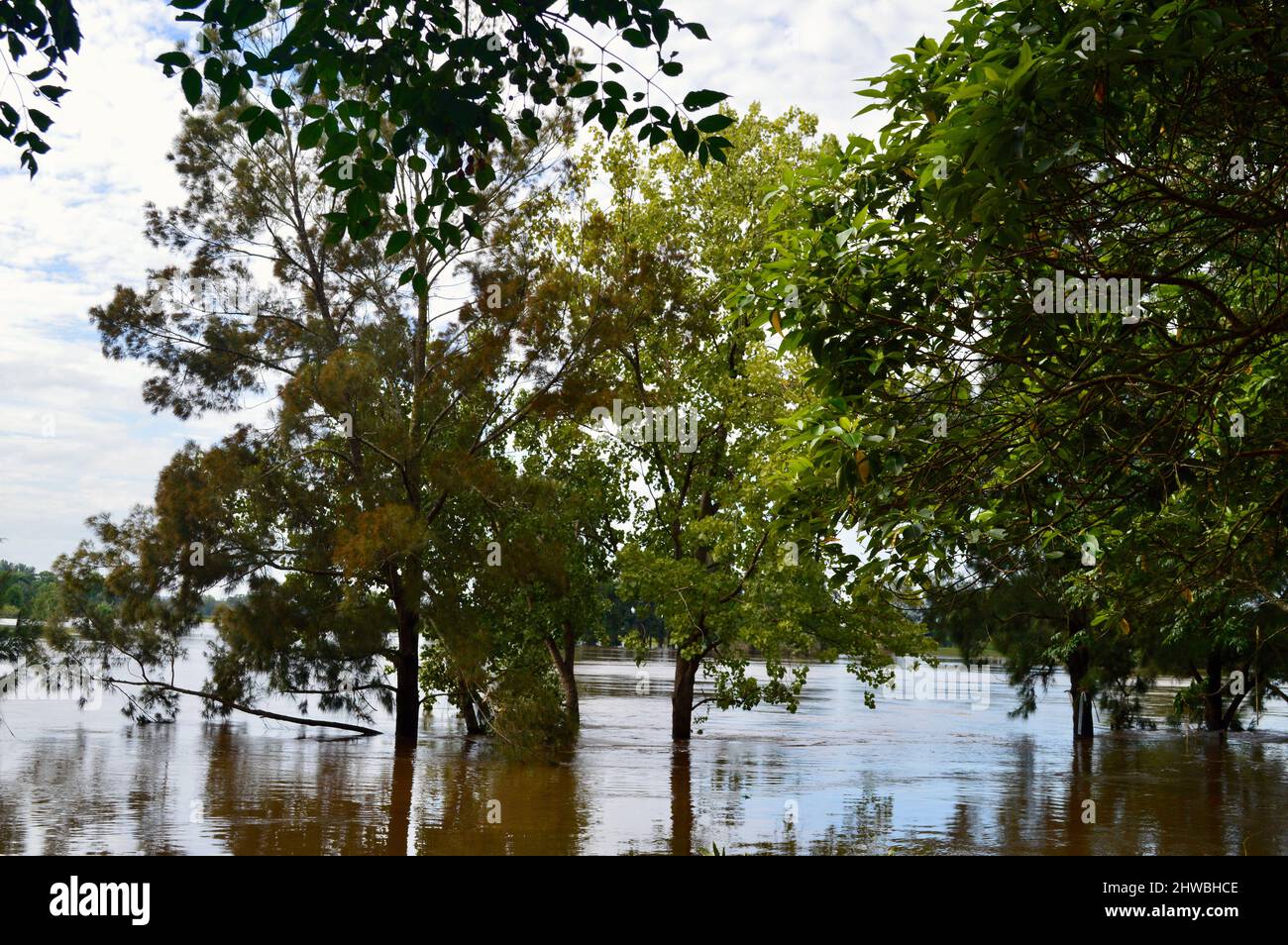 A view of the Hawkesbury River in flood at Windsor in western Sydney ...