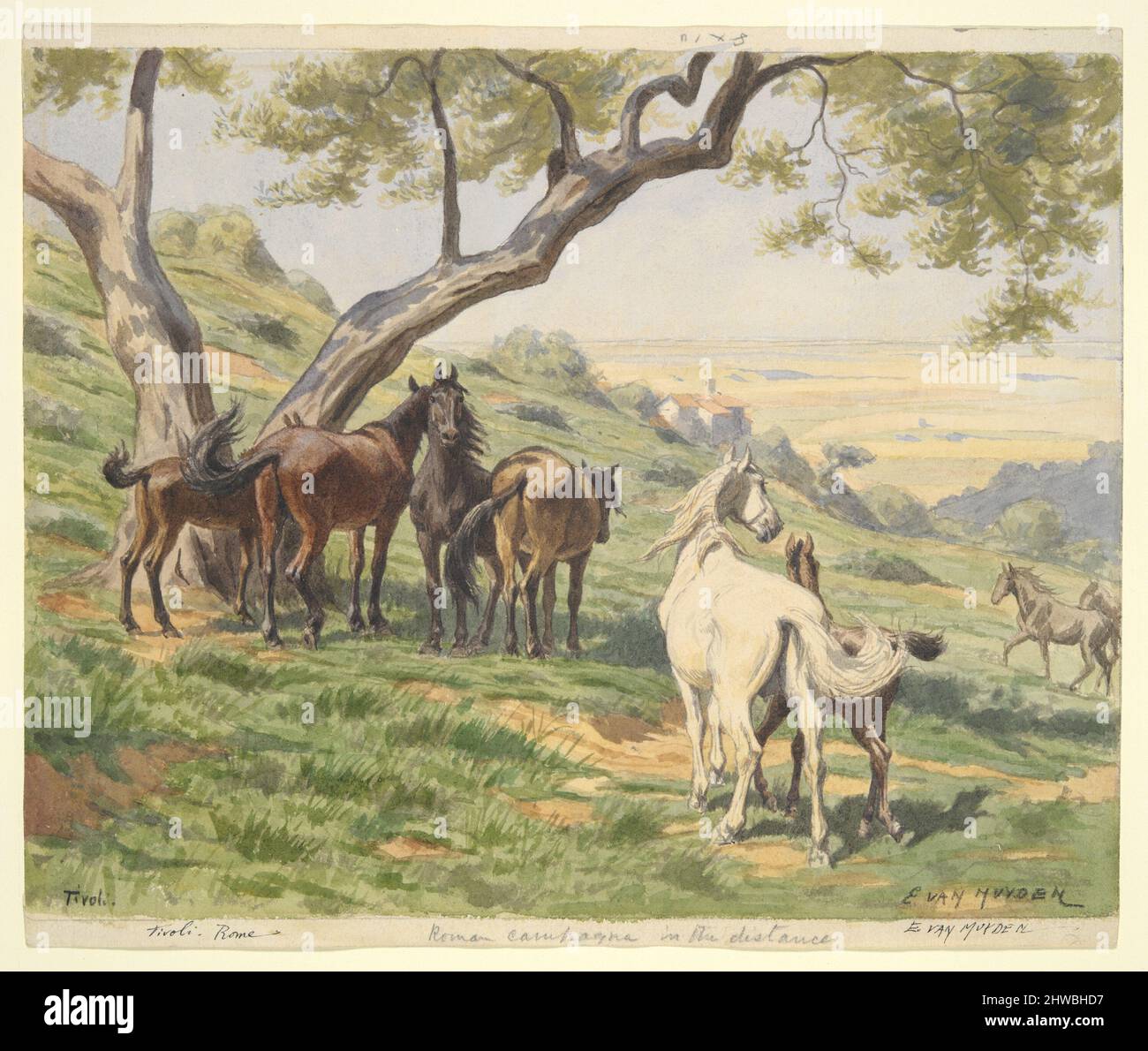 Evart louis van muyden hi-res stock photography and images - Alamy