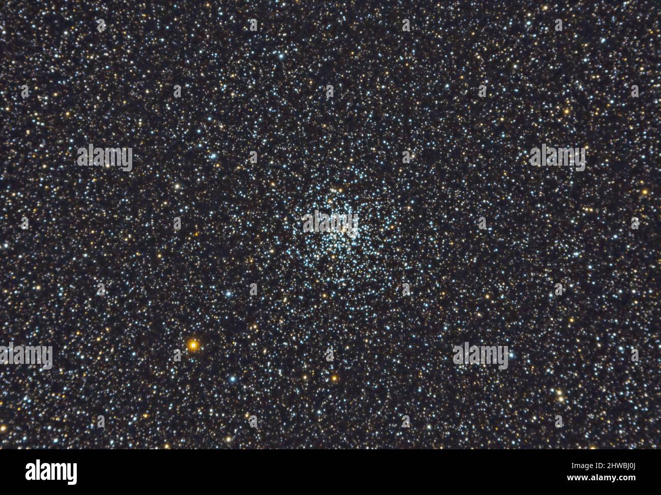Open cluster visible in the constellation Auriga, messier 37. Astronomical star map Stock Photo ...
