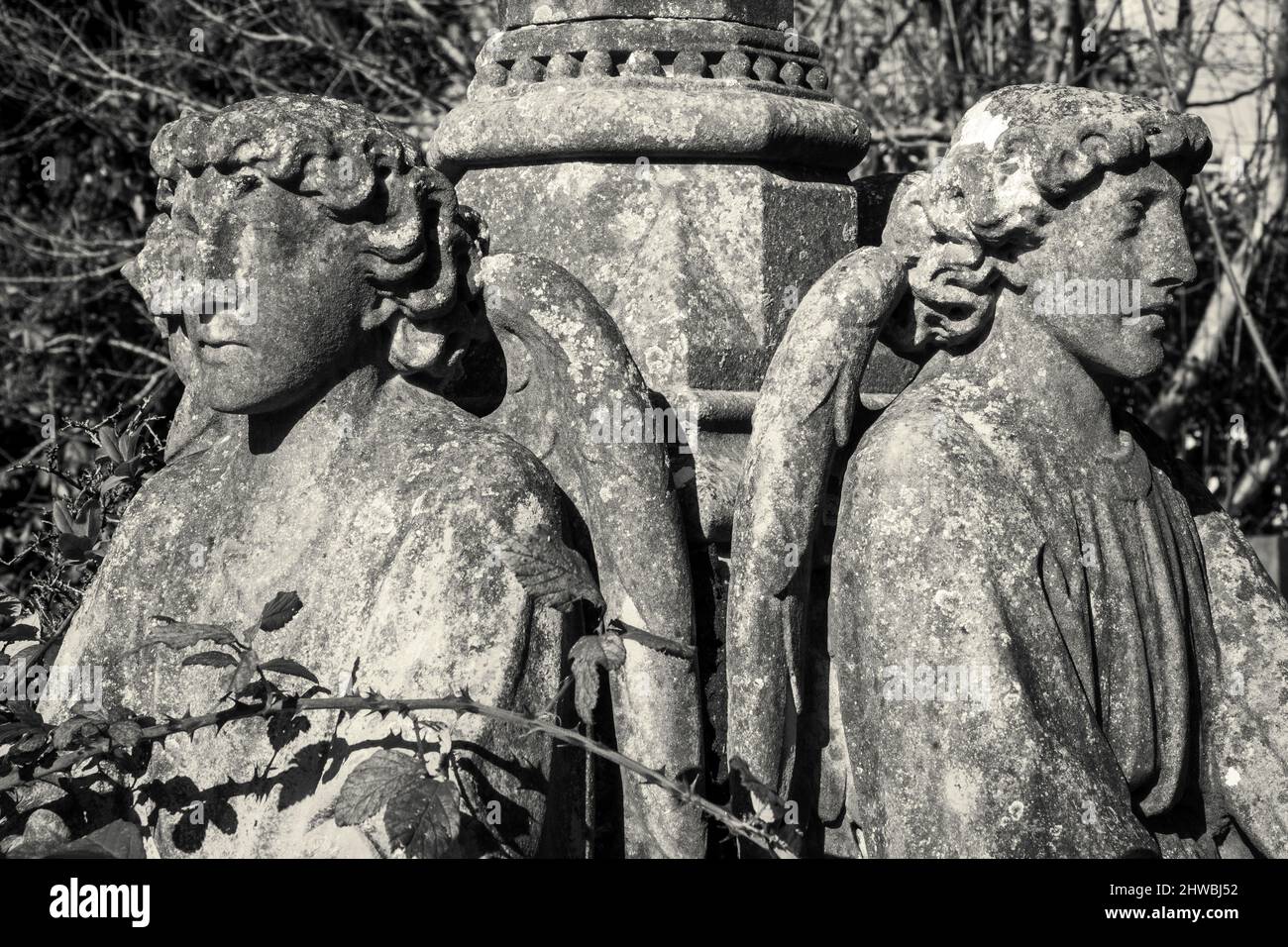 Four seated stone angels around a graveyard monument entwined with ...