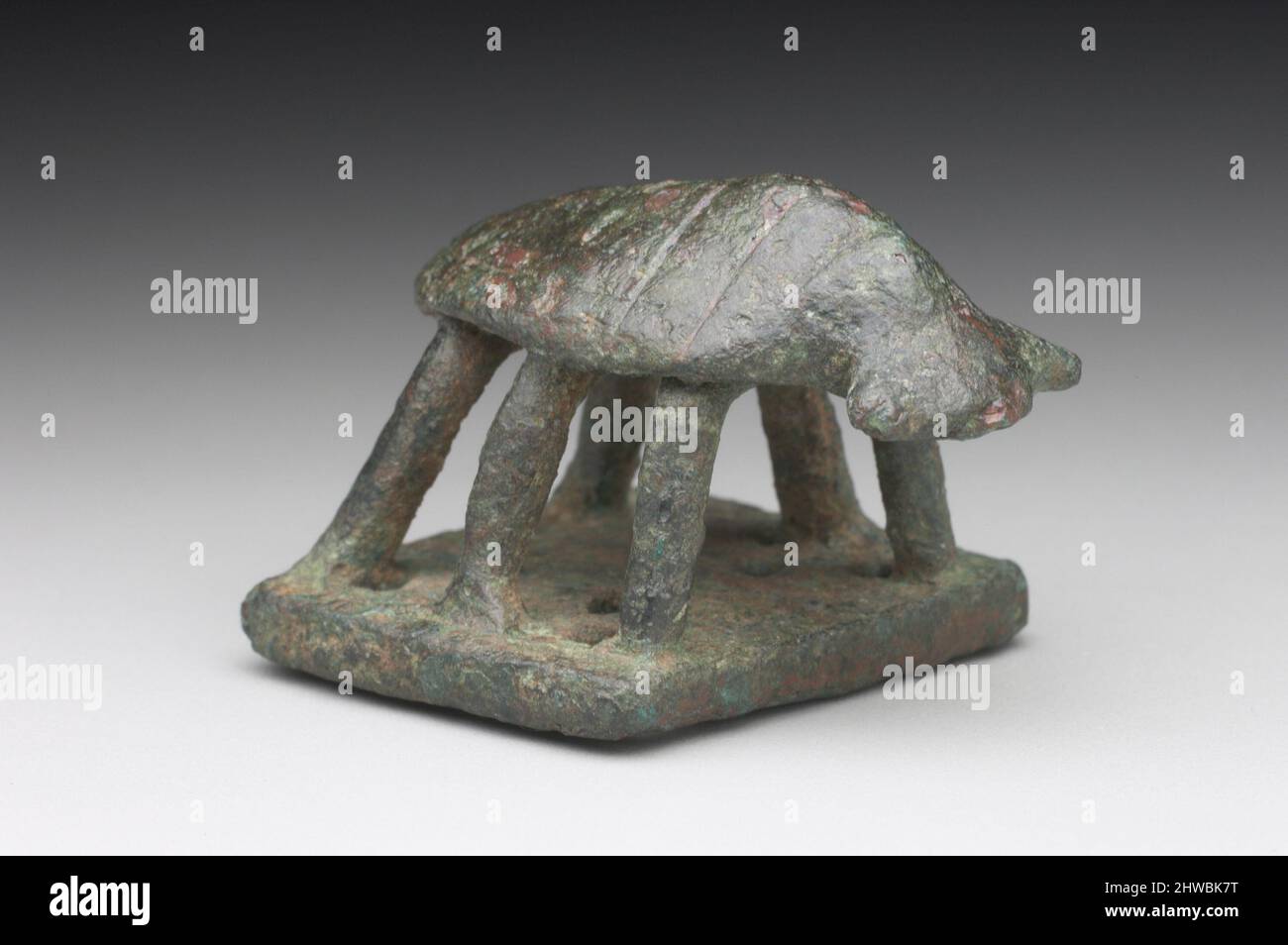 Bronze beetle hi-res stock photography and images - Alamy