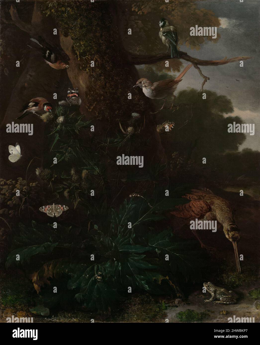 Animals and Plants of the Forest. Artist: Melchior d’Hondecoeter, Dutch ...