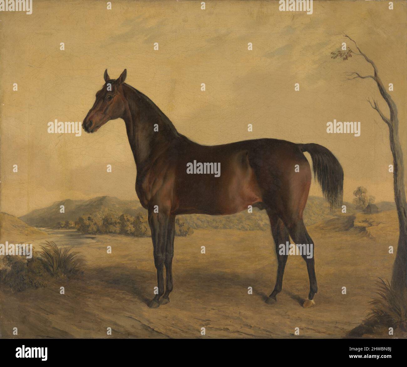 Tranby. Artist: Edward Troye, American, born Switzerland, 1808–1874 ...