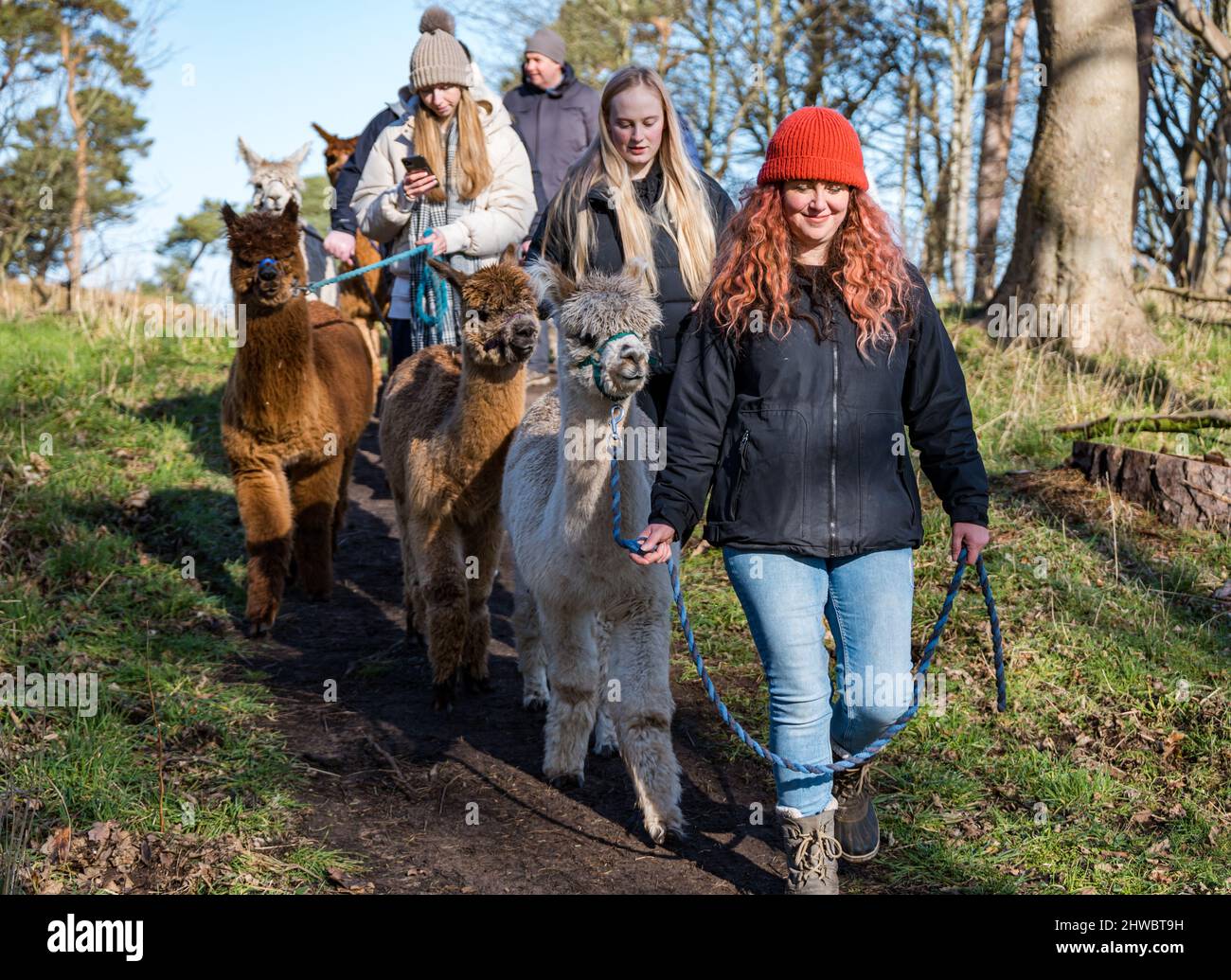 Hedderwick Hill Farm, East Lothian, Scotland, United Kingdom, 5th March ...