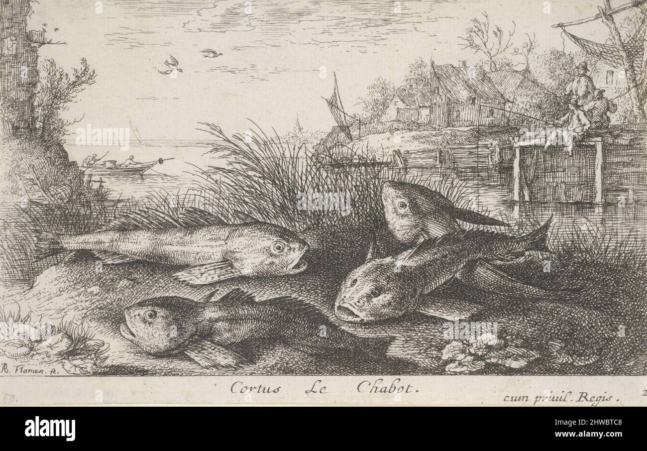 Le chabot hi-res stock photography and images - Alamy