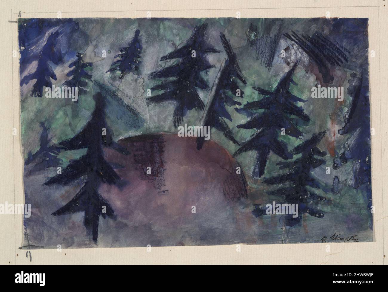 The Pine Trees. Artist: Kate Traumann Steinitz, American, born Germany ...