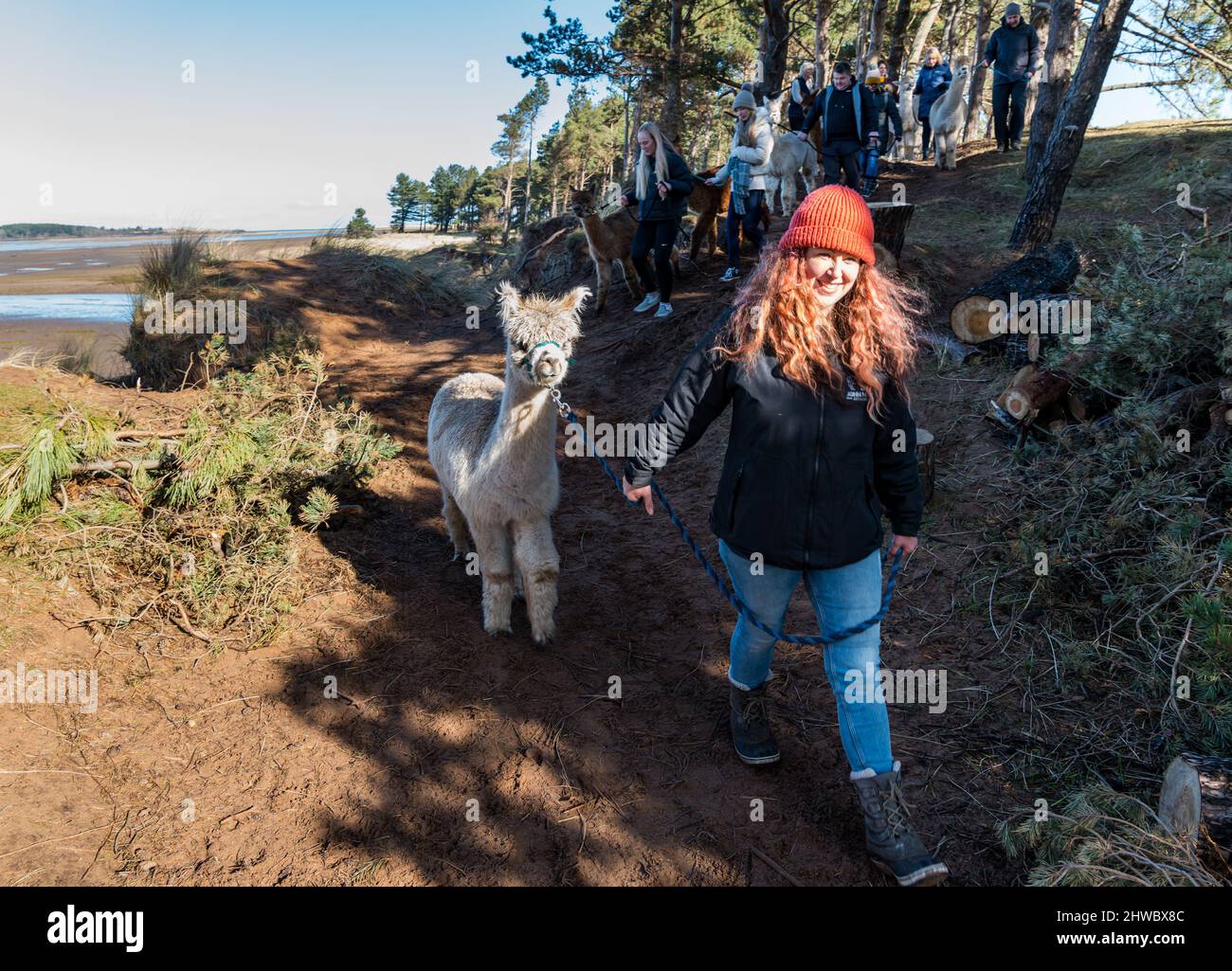 Hedderwick Hill Farm, East Lothian, Scotland, United Kingdom, 5th March ...
