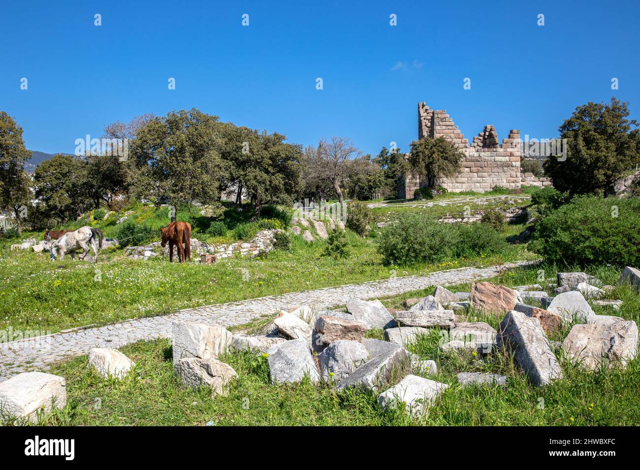 Myndos Gate of famous tourism city Bodrum, Mugla, Turkey Stock Photo ...
