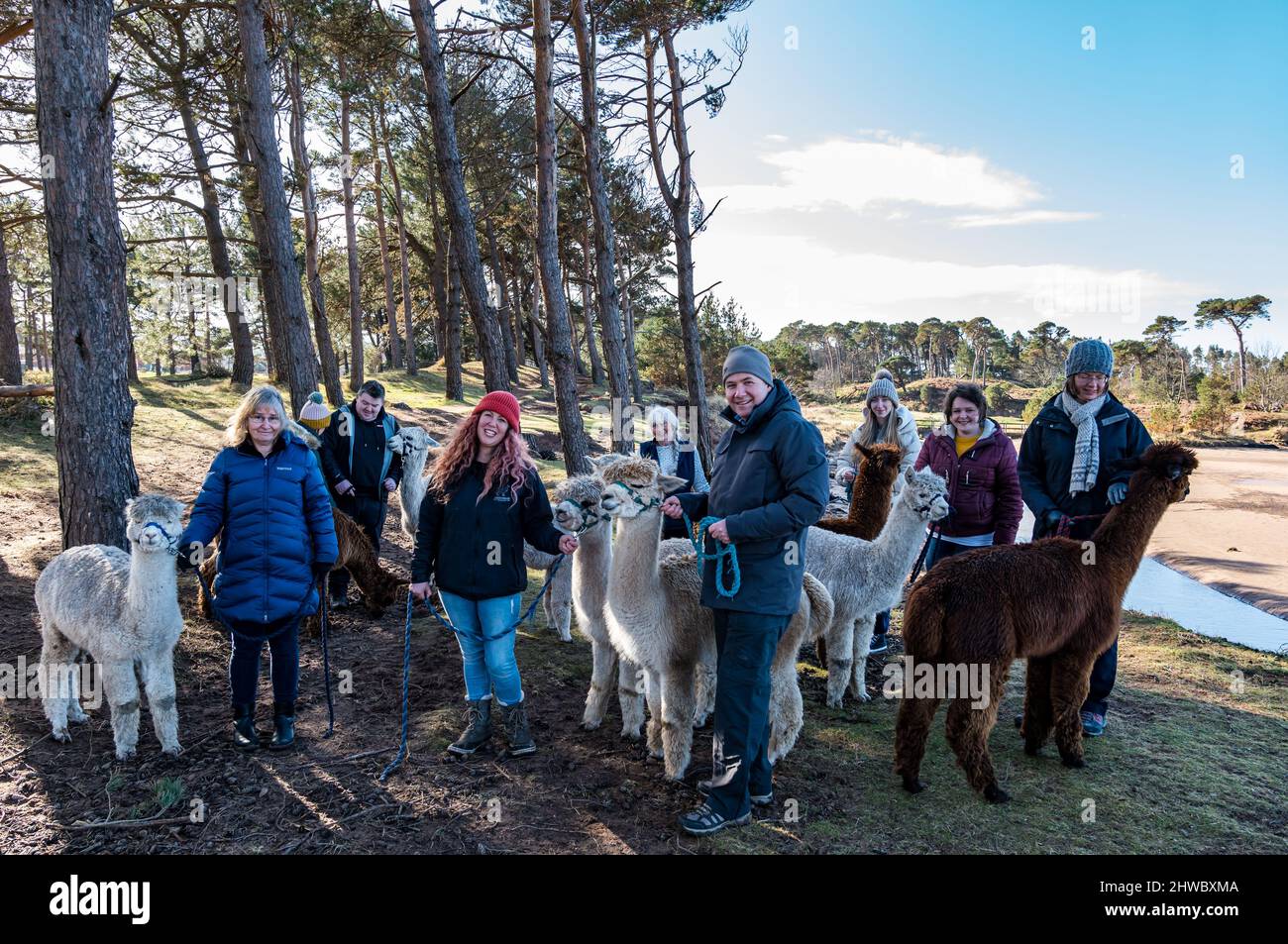 Hedderwick Hill Farm, East Lothian, Scotland, United Kingdom, 5th March ...