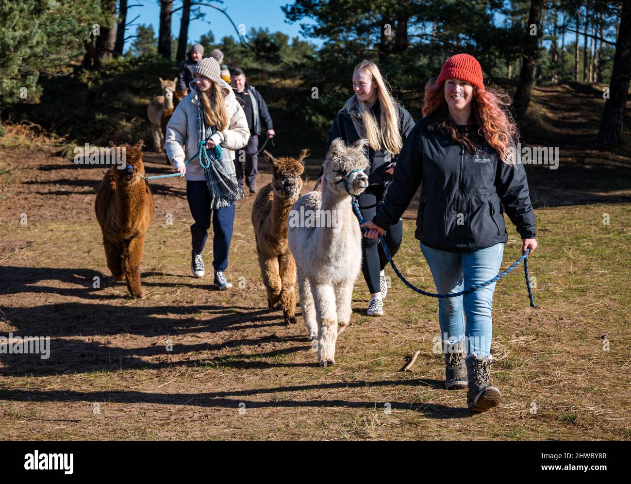 Hedderwick Hill Farm, East Lothian, Scotland, United Kingdom, 5th March ...