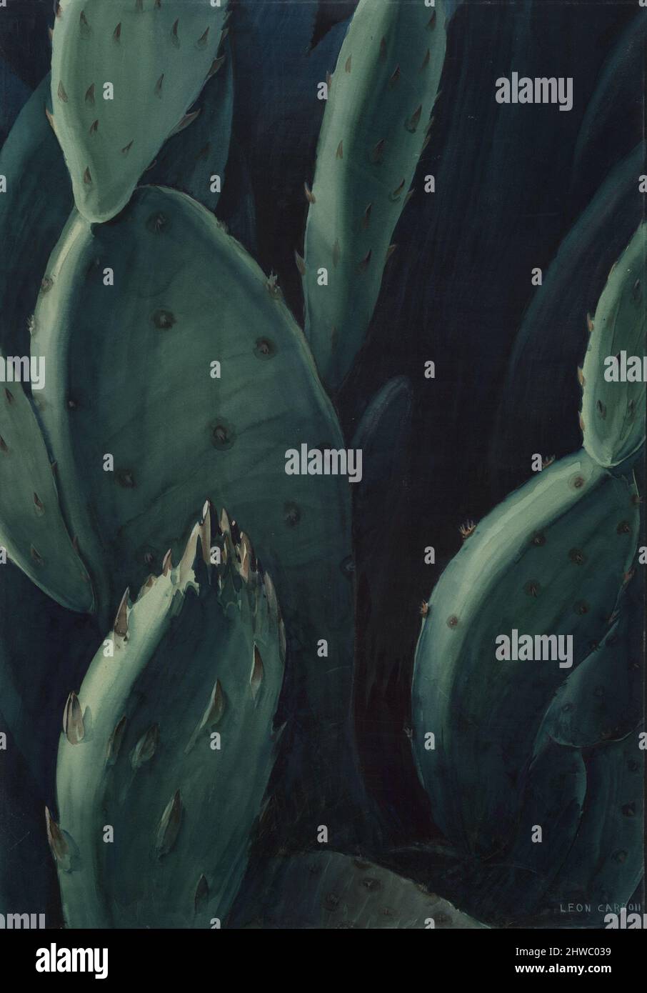 Leon carroll botanical art hi-res stock photography and images - Alamy