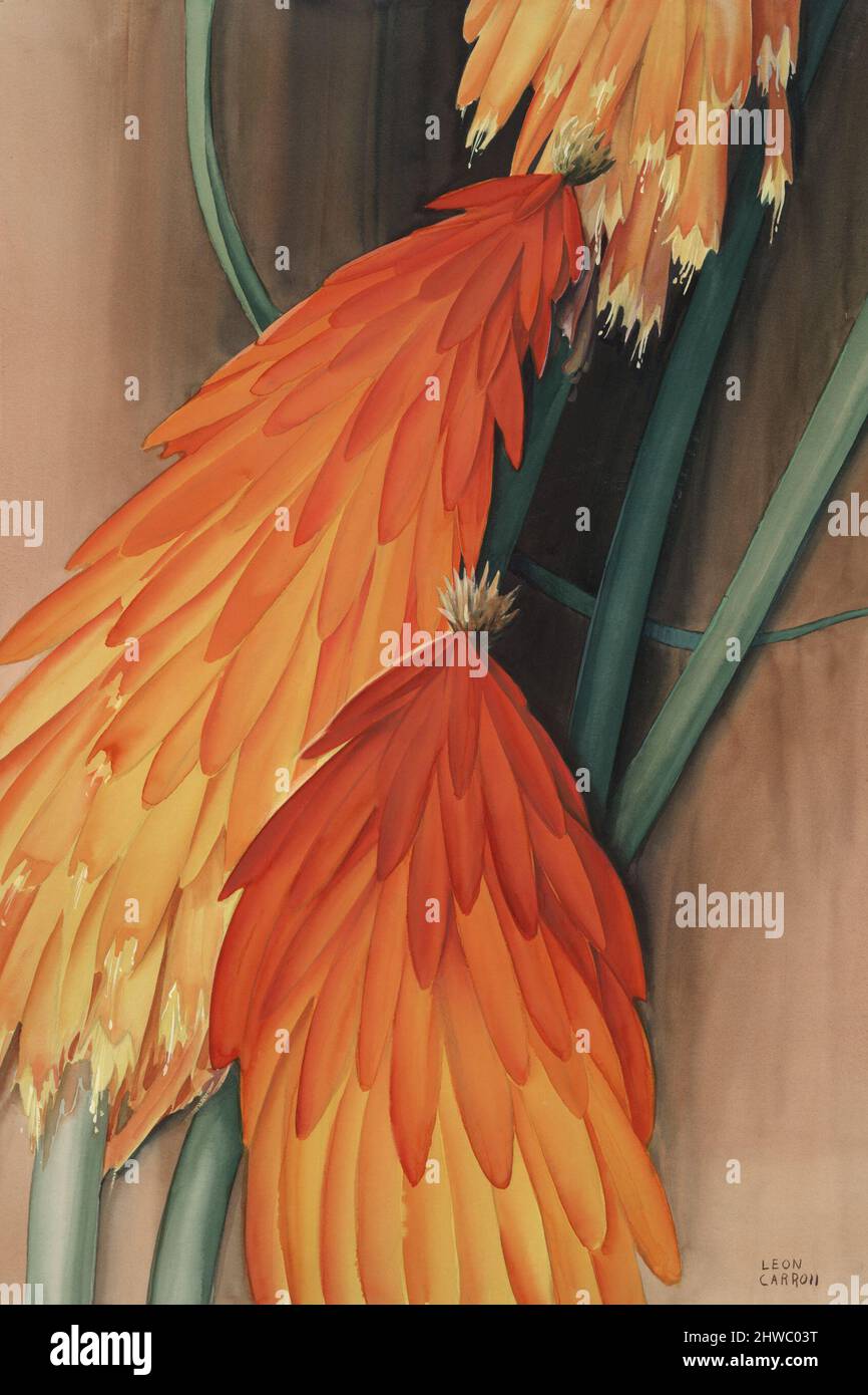 Skyrocket (Red Hot Poker). Artist: Leon Carroll, American, 1887–1937 ...
