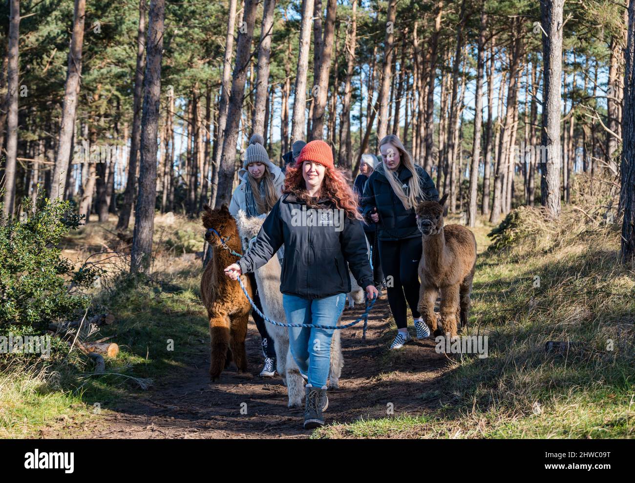 Hedderwick Hill Farm, East Lothian, Scotland, United Kingdom, 5th March ...