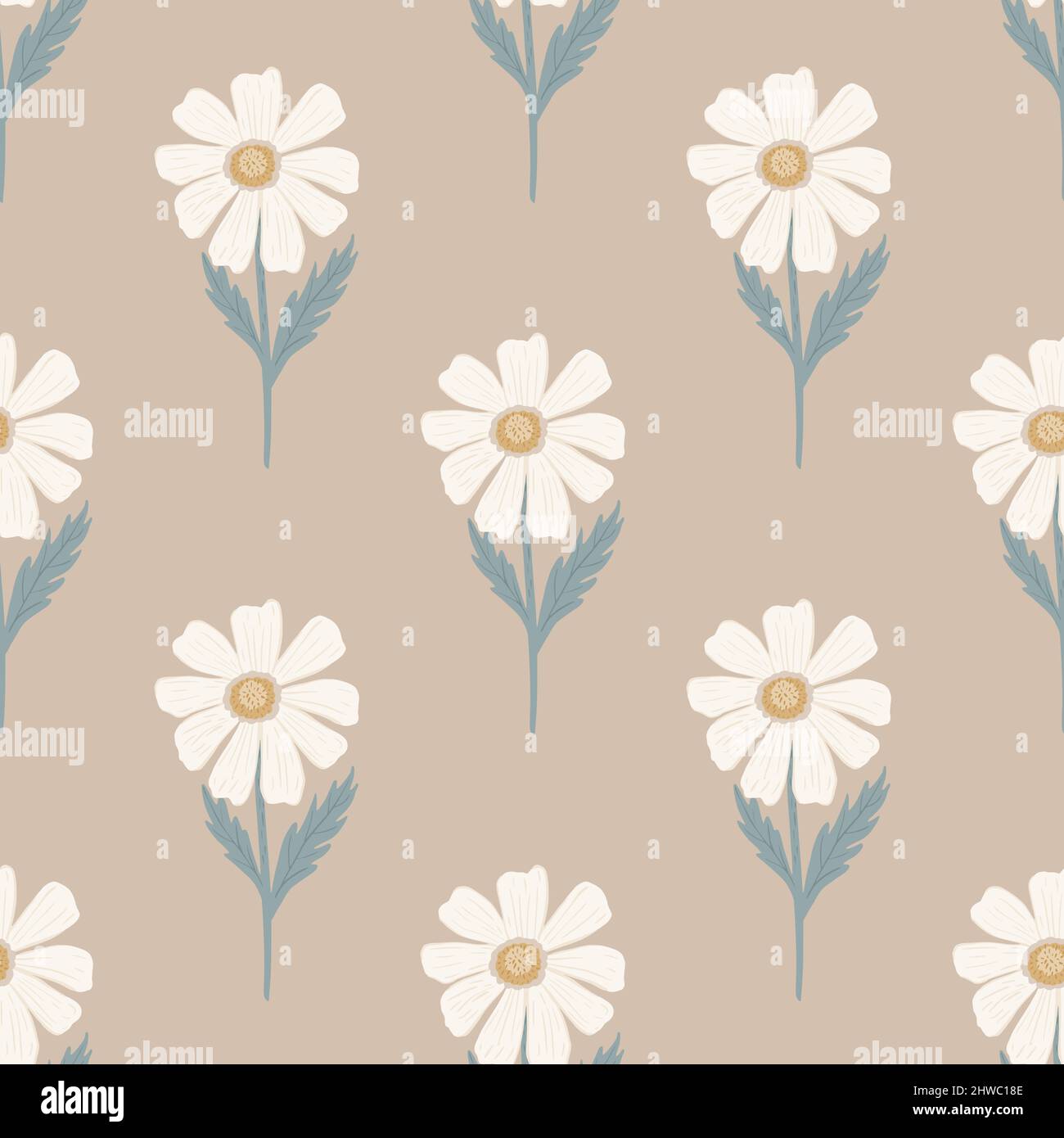 Chamomile pattern seamless in freehand style. Spring flowers on ...