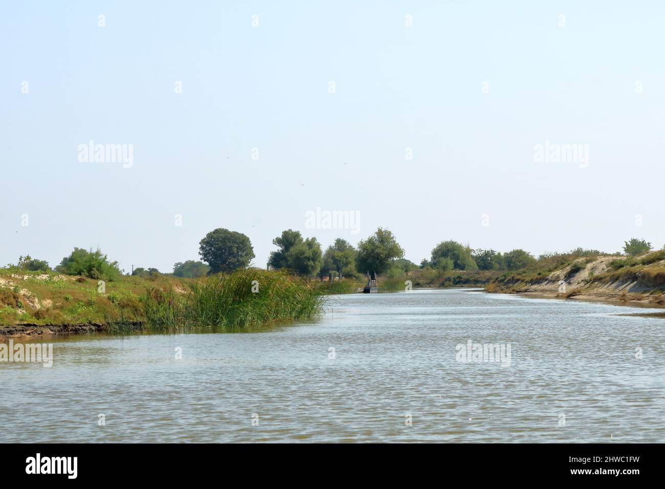 small river channel in the Danube Delta Stock Photo - Alamy