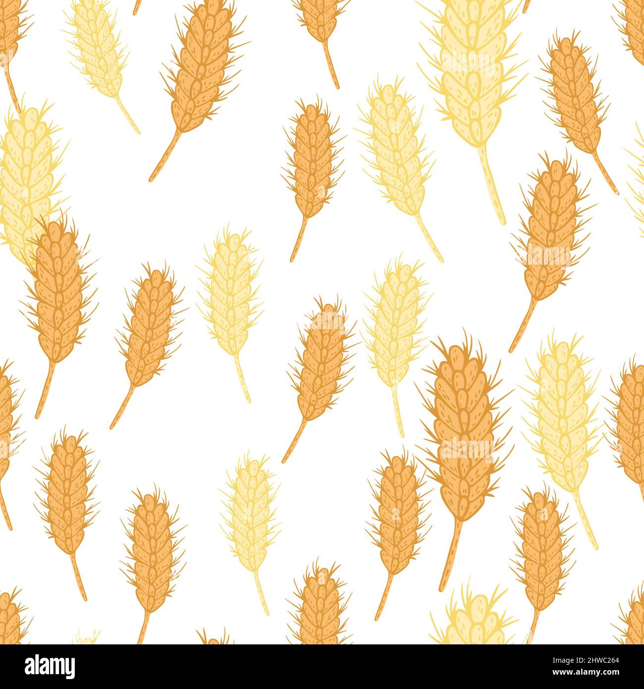 Wheat seamless pattern. Cereal crop sketch. Repeated texture in doodle ...