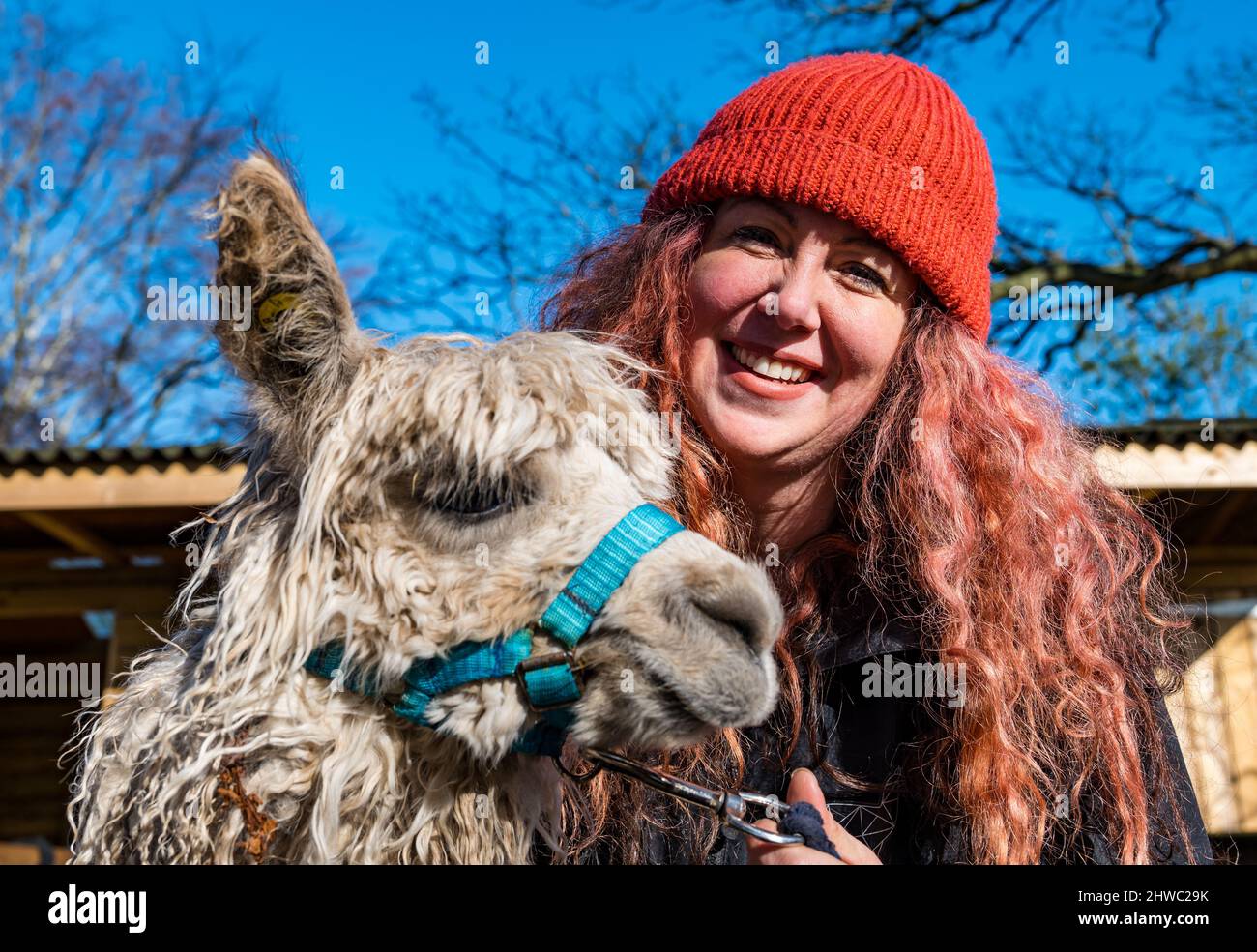 Hedderwick Hill Farm, East Lothian, Scotland, United Kingdom, 5th March ...