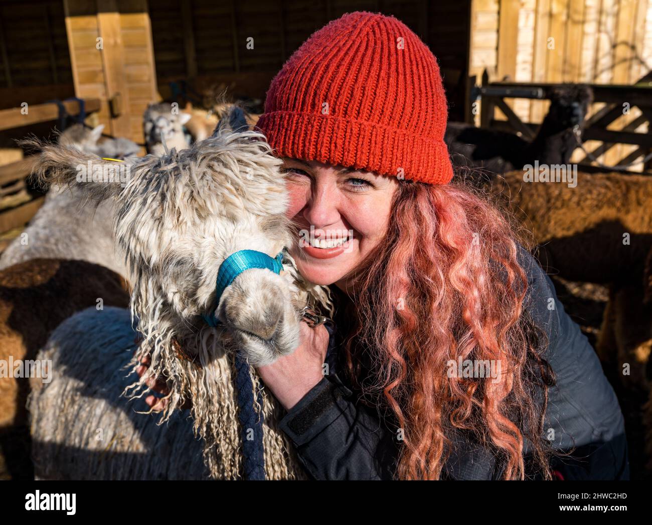 Hedderwick Hill Farm, East Lothian, Scotland, United Kingdom, 5th March ...