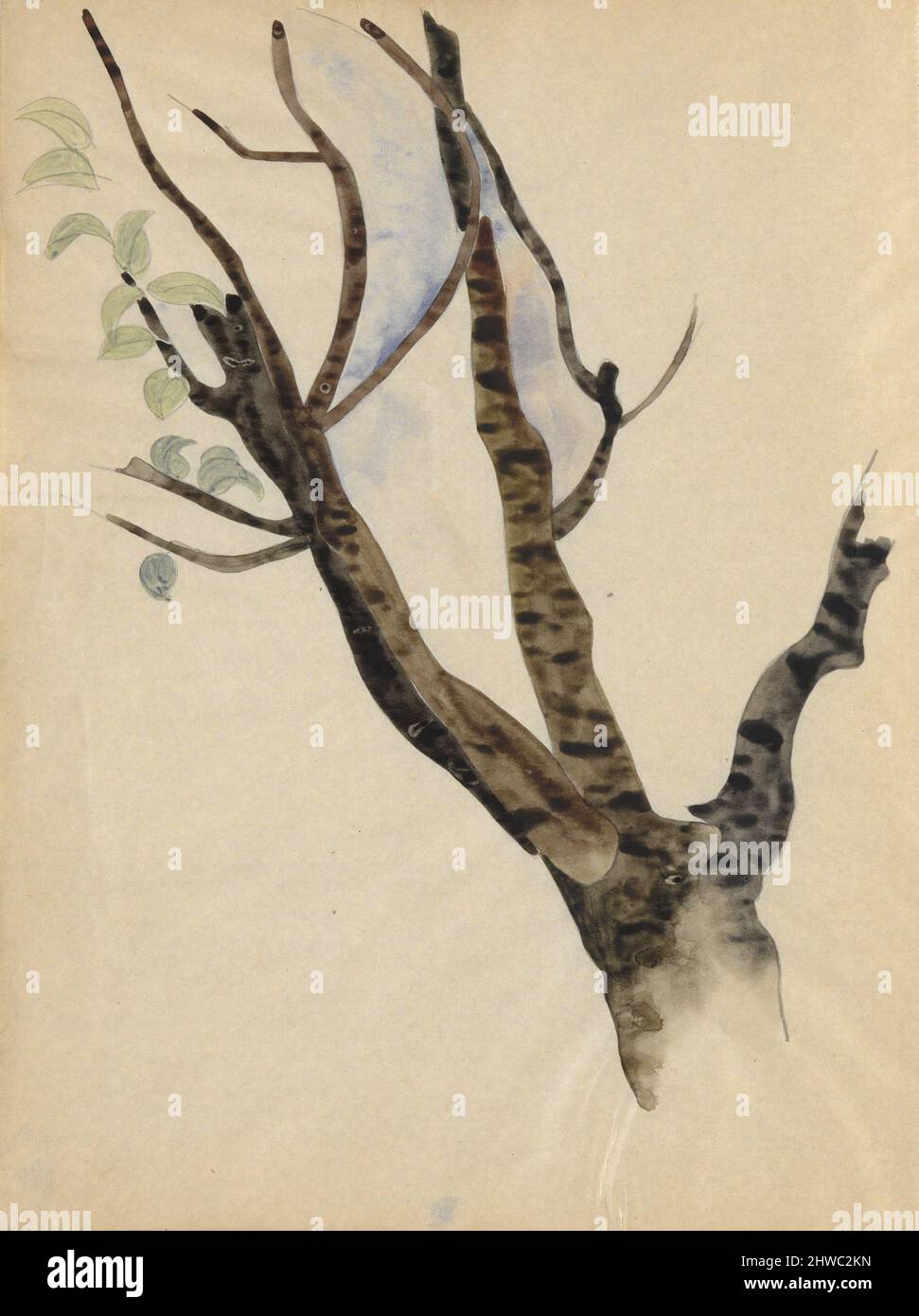 Sketchbook: 36 pages total, containing 28 sketches (including studies ...