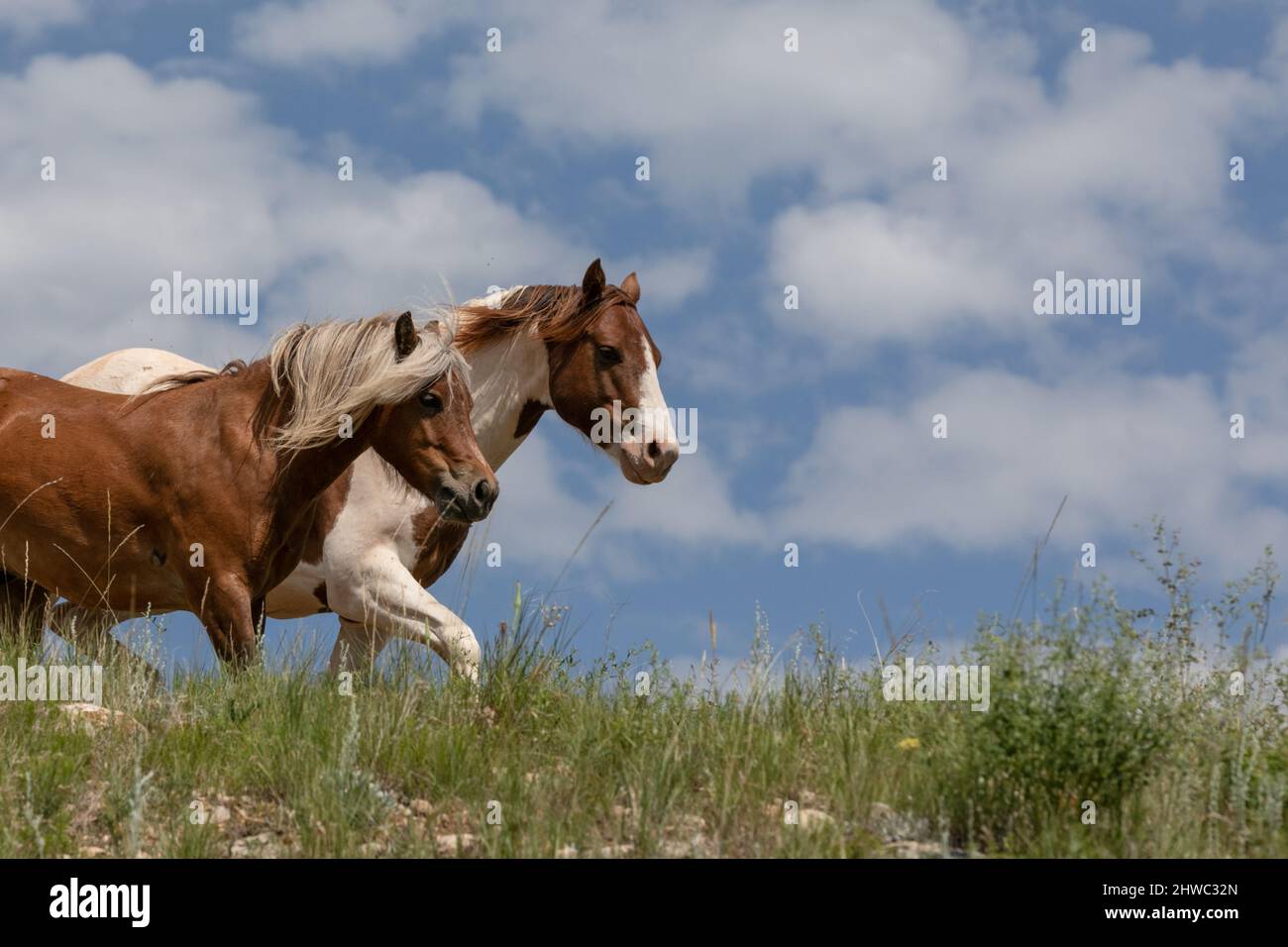 Dude Range And Basin