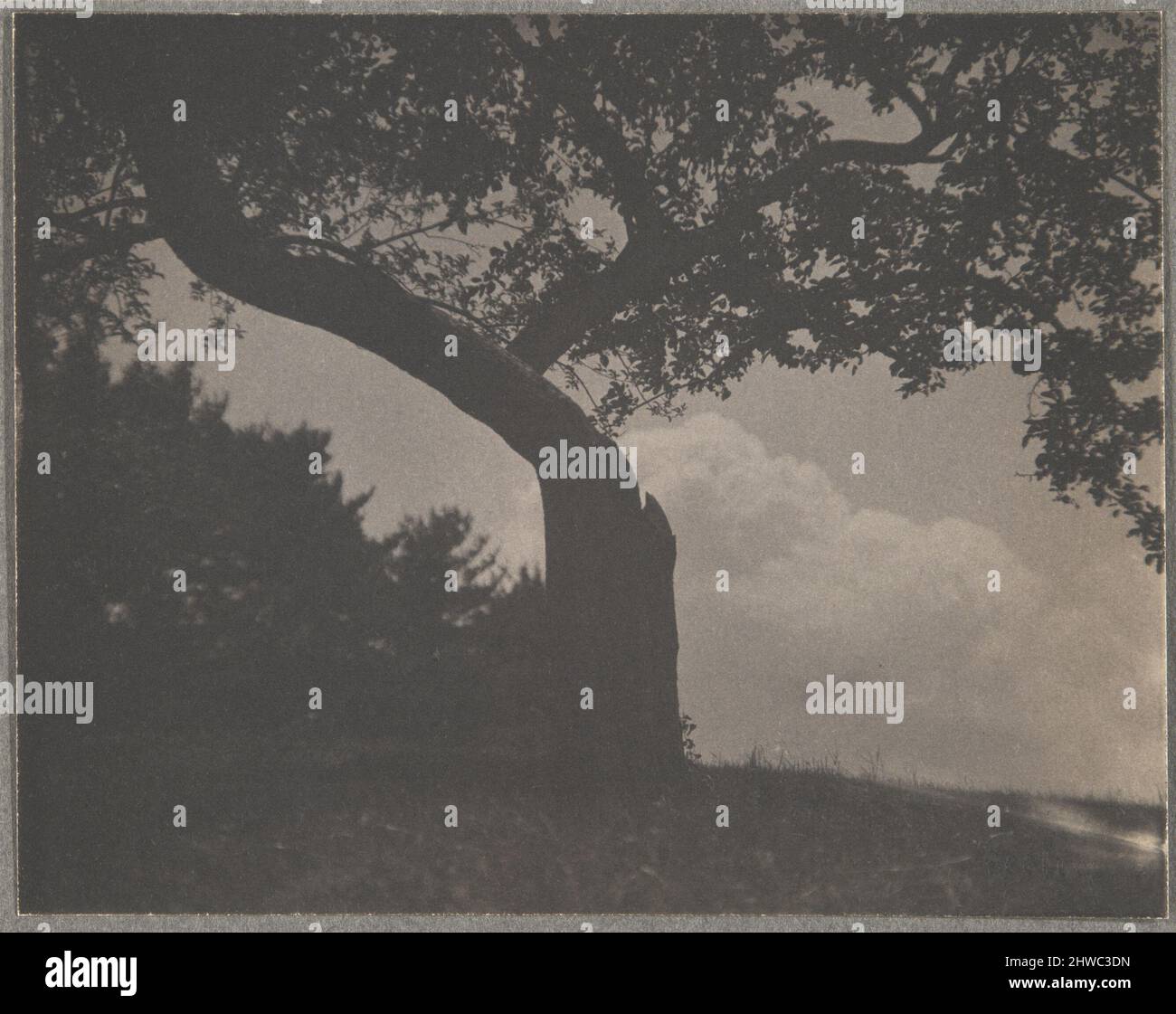 1880 1955 hi-res stock photography and images - Alamy